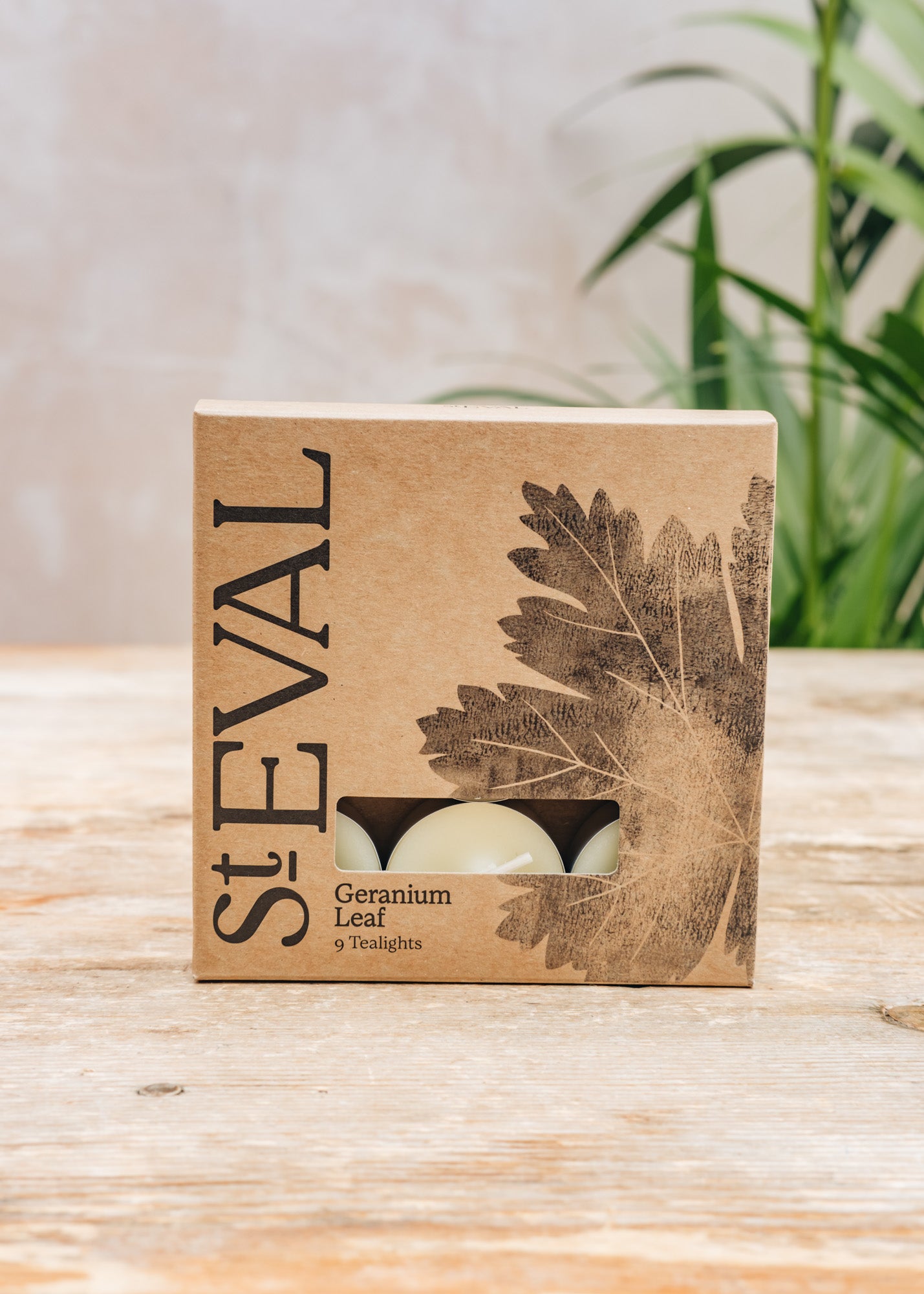 St Eval Tealight Candles in Geranium Leaf – Burford Garden Co.