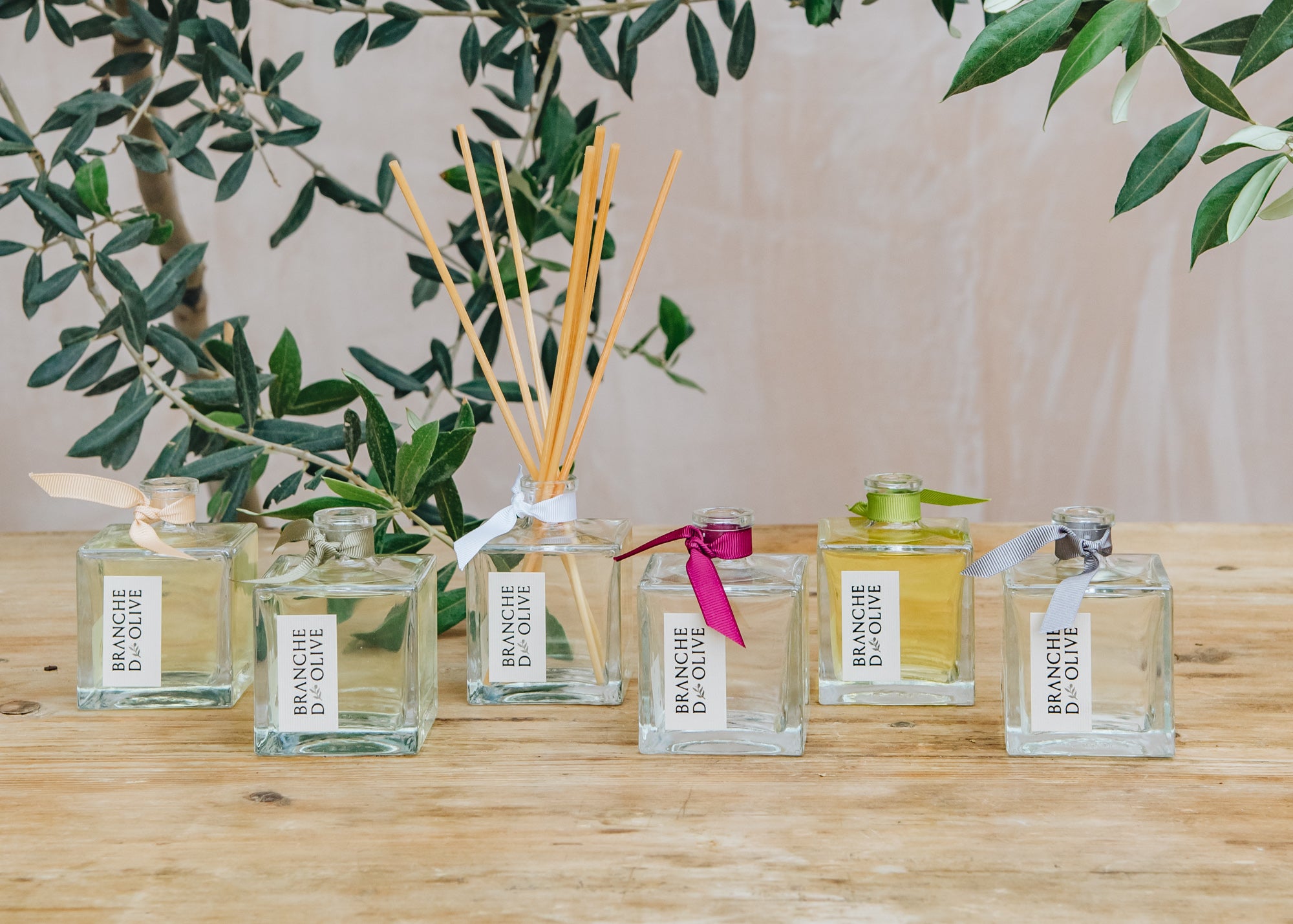 Branche D'Olive Diffusers 100ml | Home Fragrance | Burford Garden Co.