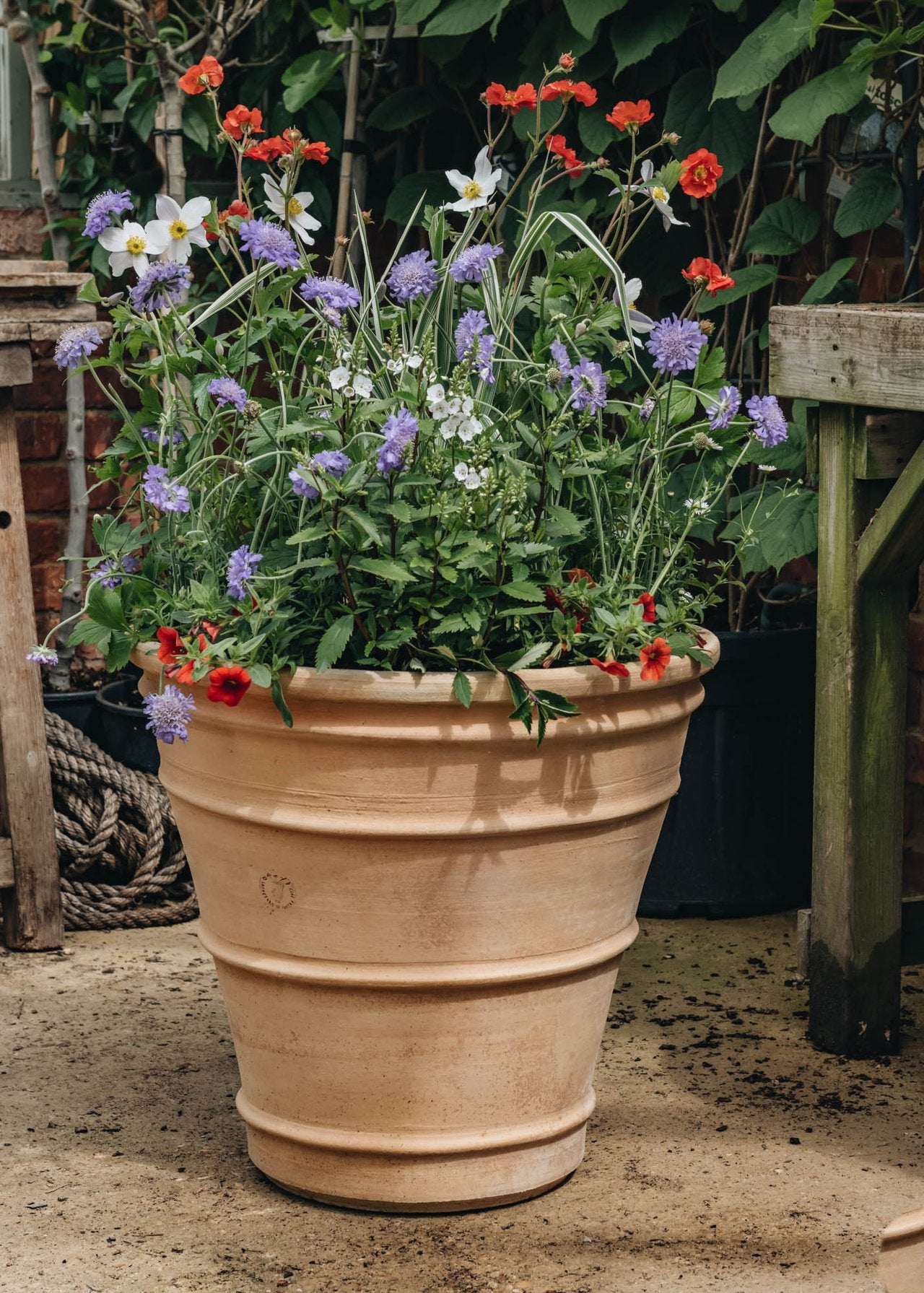 How to: Plant a Late-Spring Container – Burford Garden Co.