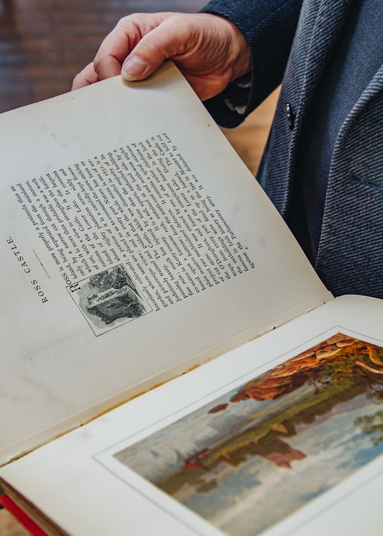 How To: Collect Rare Books – Burford Garden Co.