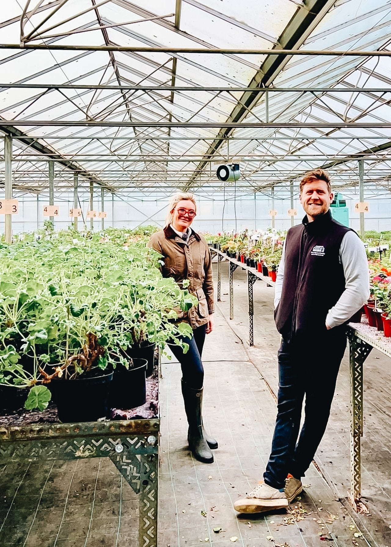 Meet Fibrex, renowned growers of pelargoniums – Burford Garden Co.