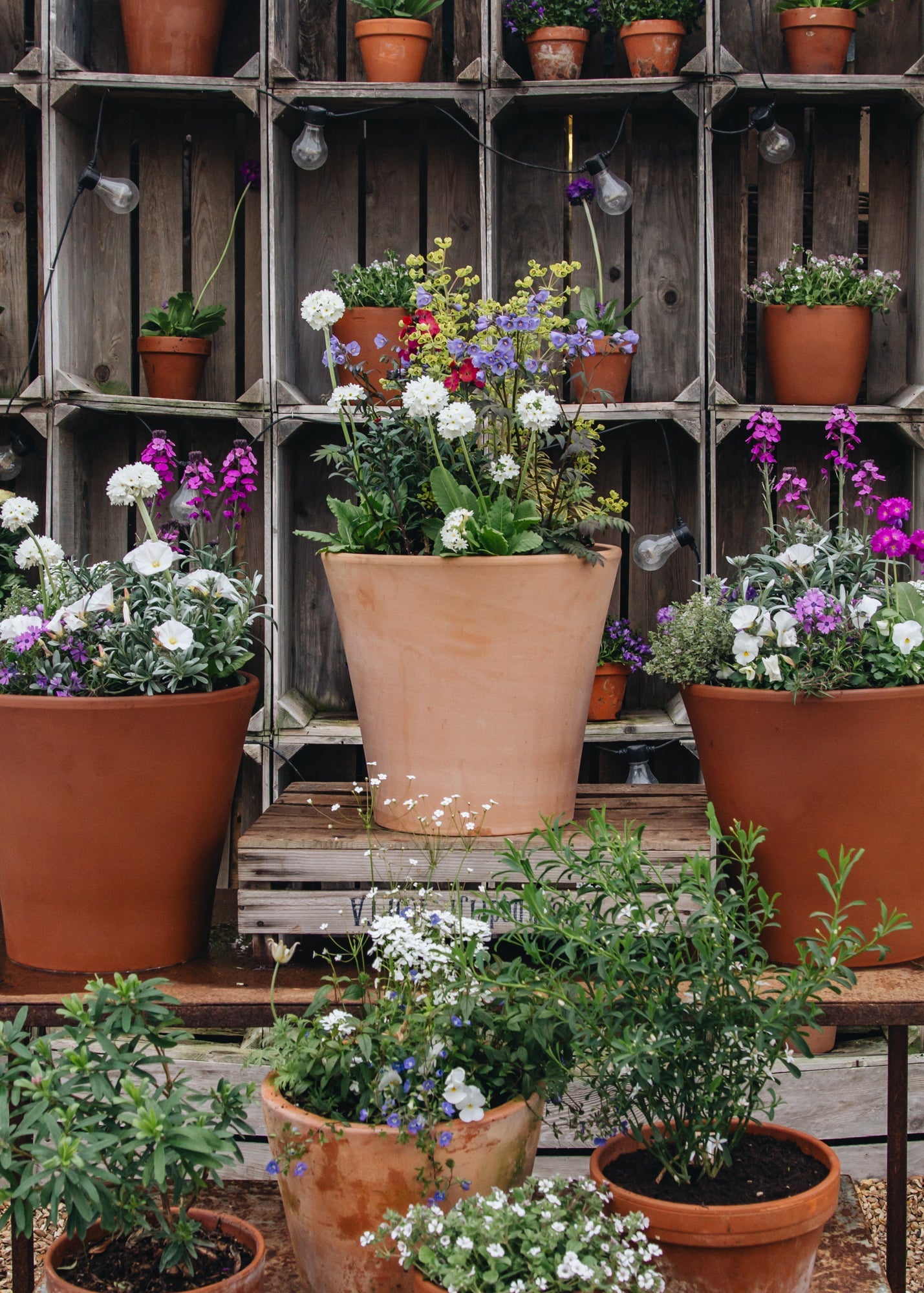 Planting a Rose Obelisk Feature Pot – Burford Garden Co.