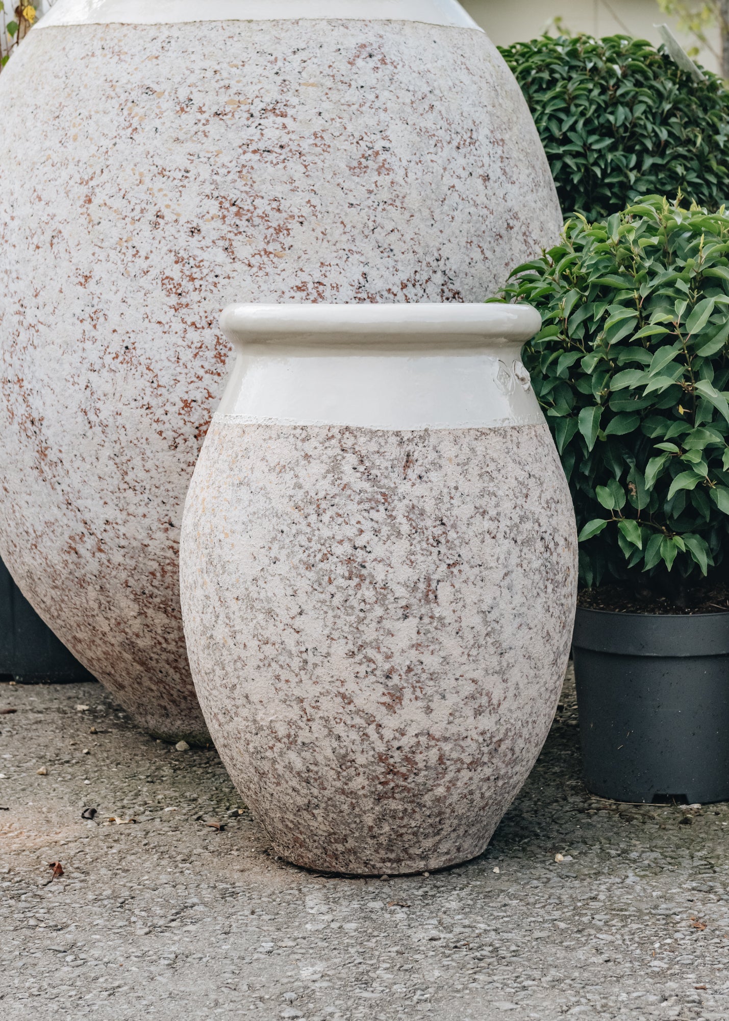 Olive Pot with Ivory Neck with Burford Leaf Stamp, 70cm – Burford ...