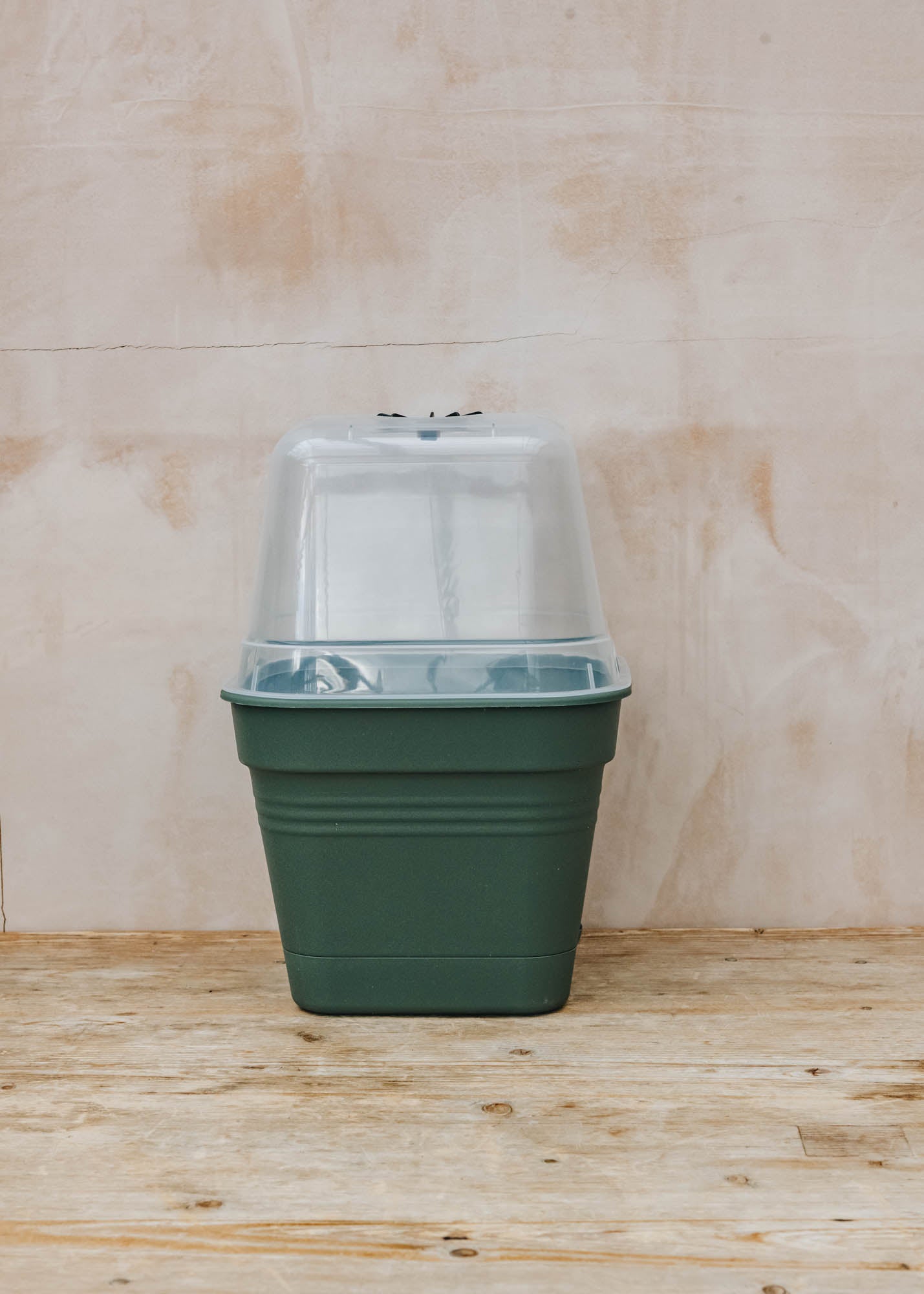 Elho All in One Square Growpot in Leaf Green, 25cm – Burford Garden Co.