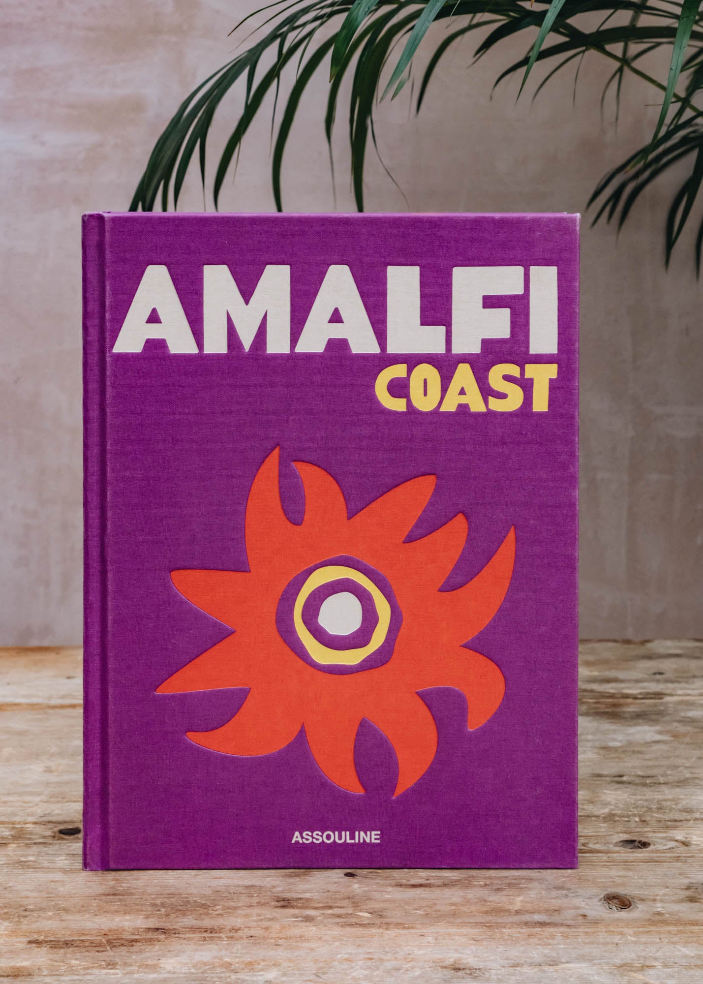 Assouline Amalfi Coast by Carlos Souza and Charlene Shorto | Burford ...