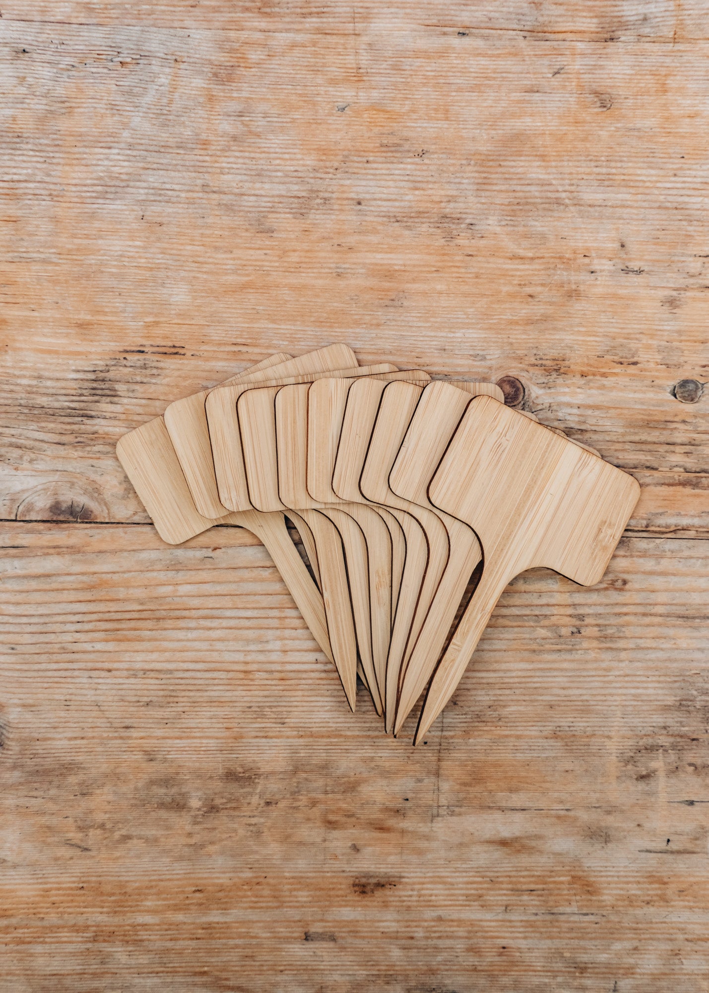 Bamboo T Plant Labels – Burford Garden Co.