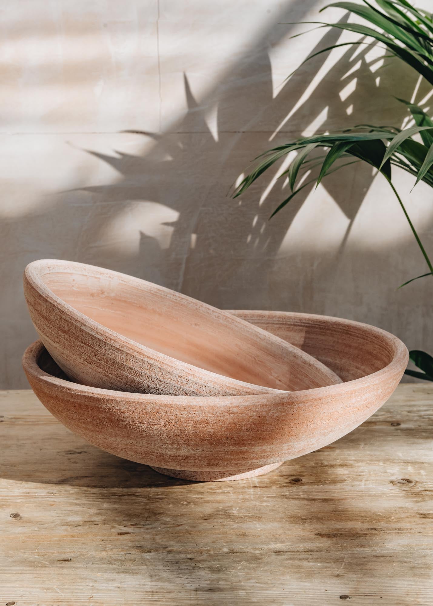 Rosa Ada Planting Bowls – Burford Garden Co.