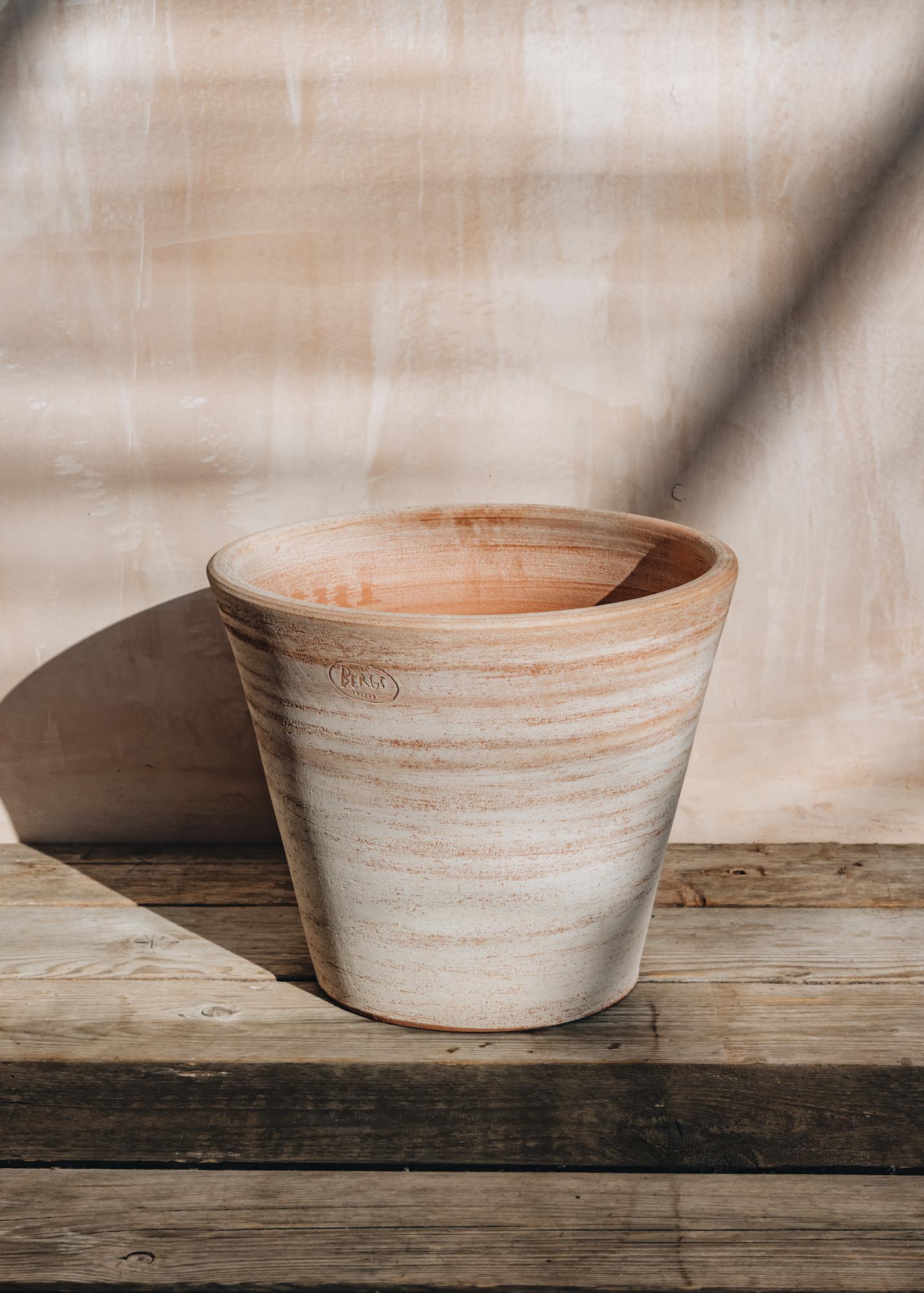 Rosa Julie Pots 35cm+ – Burford Garden Co.