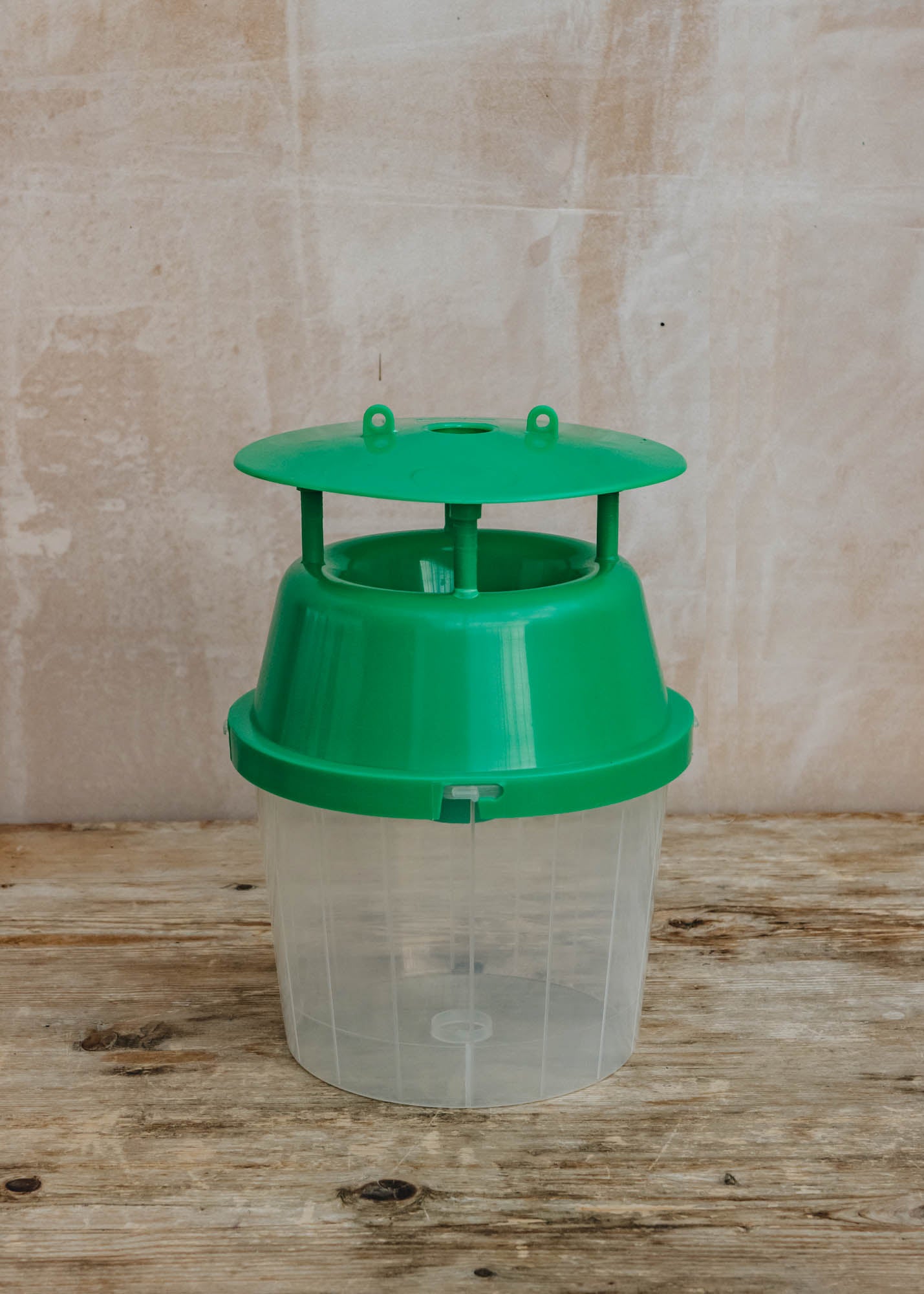 Box Moth Pheromone Trap – Burford Garden Co.