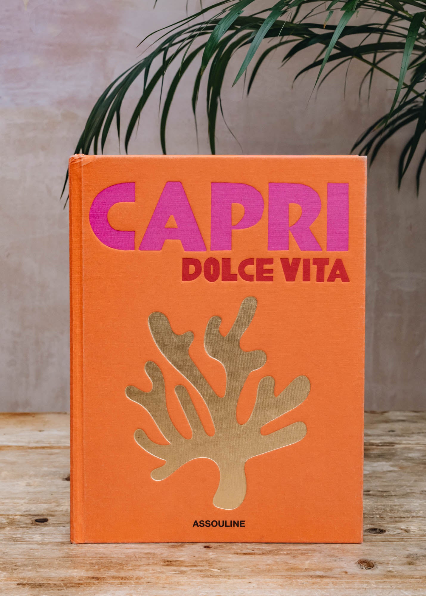 Assouline Capri Dolce Vita by Cesare Cunaccia | Burford Garden Co.