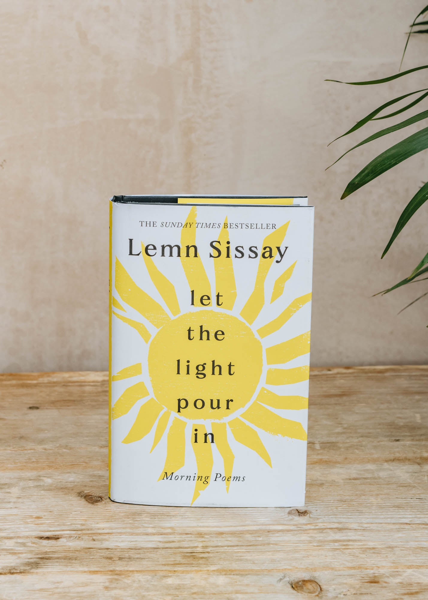 Let The Light Pour In | Burford Garden Co.