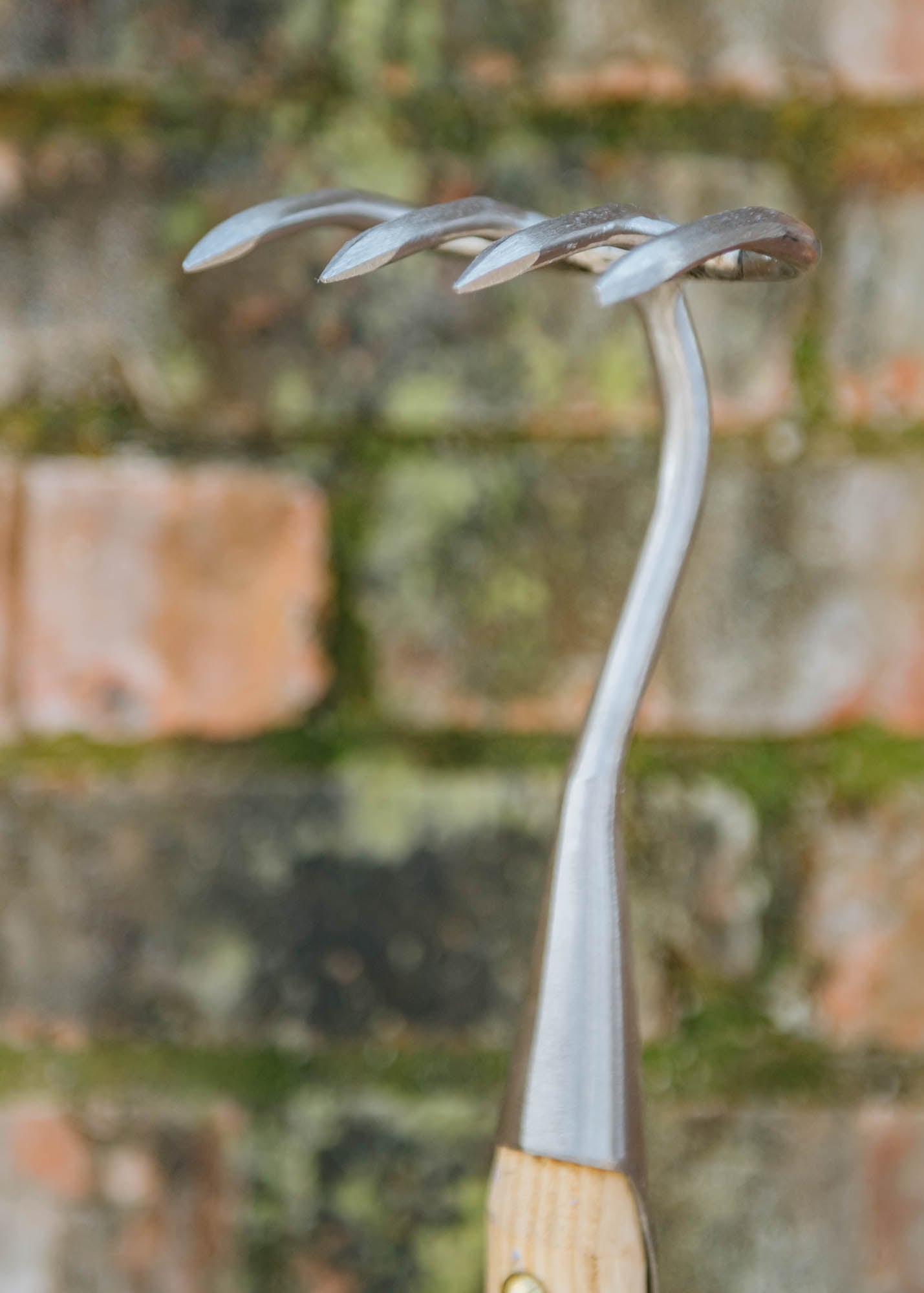 Sneeboer Four Tine Rake with Shaped Handle | Garden Tools | Burford ...