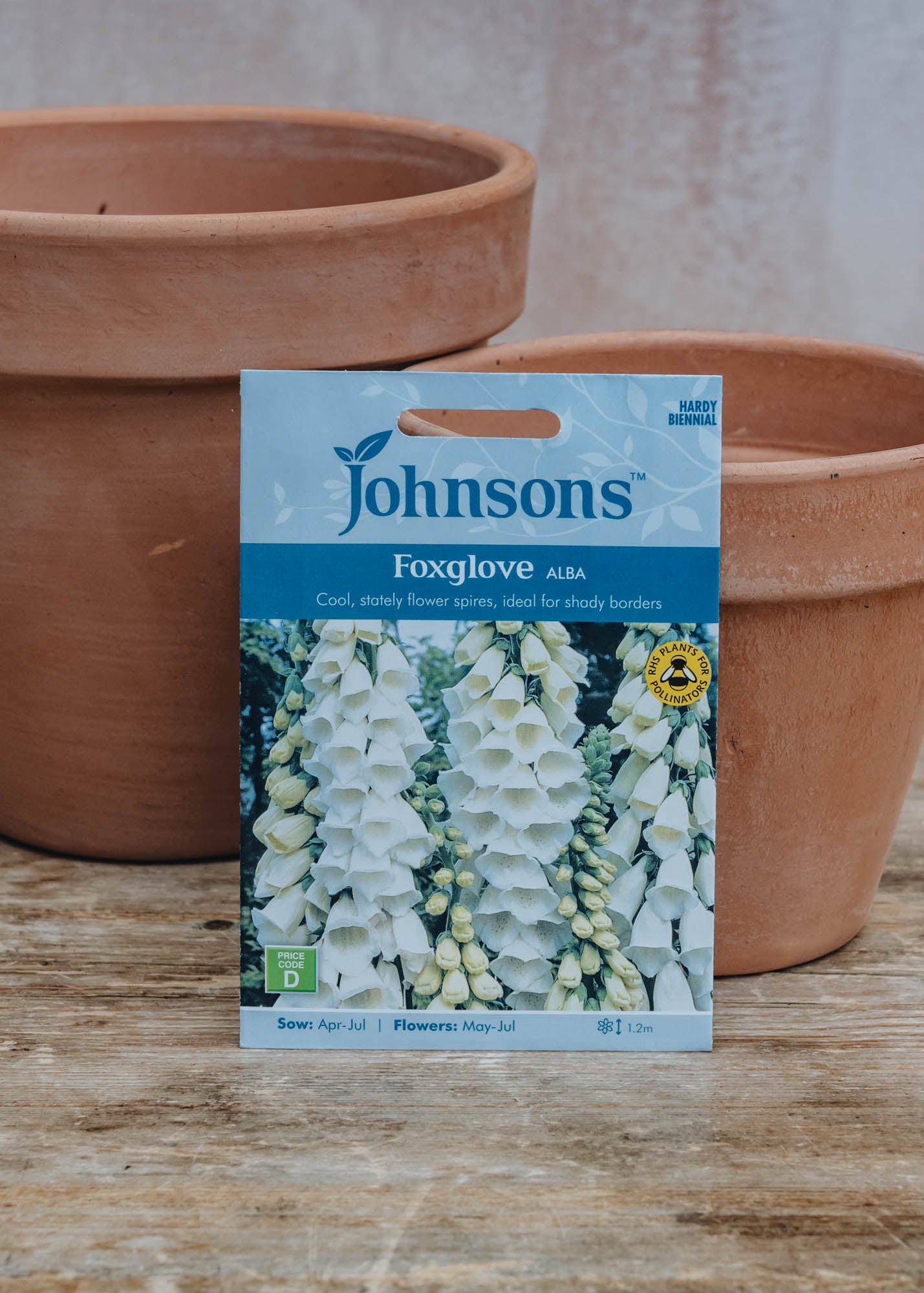 Foxglove Alba Seeds | Burford Garden Co.