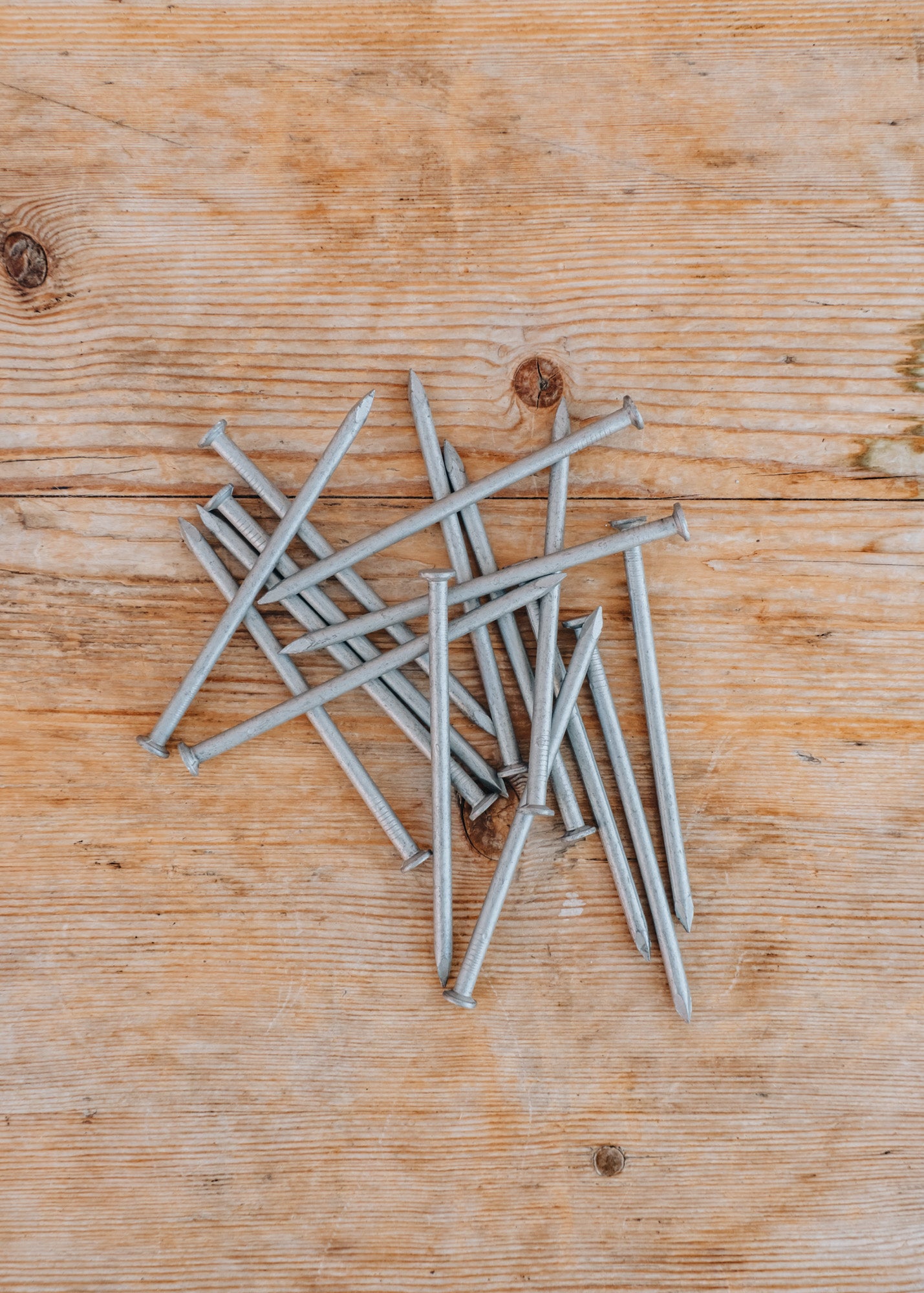 Galvanised Nails, 100mm – Burford Garden Co.