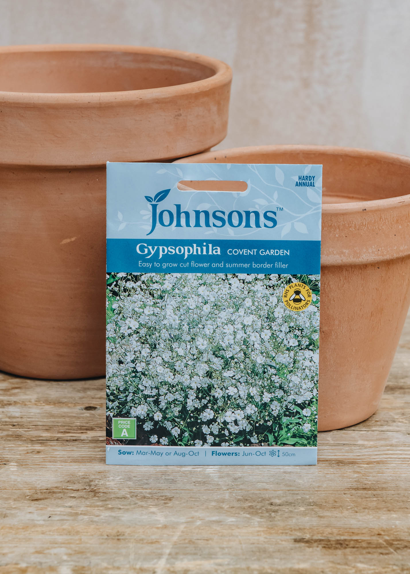 Gypsophila Covent Garden Seeds | Burford Garden Co.