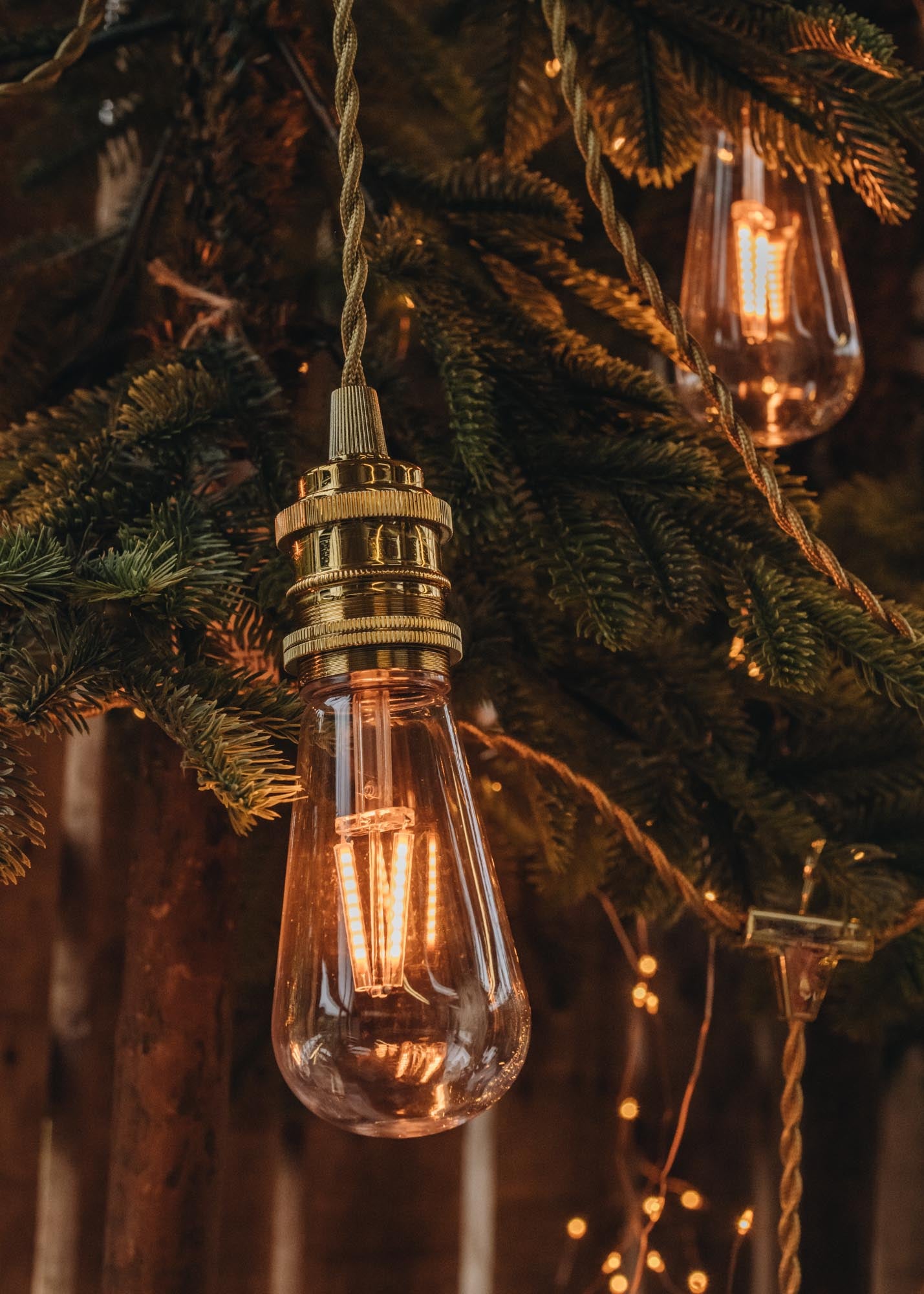 Konst Smide Indoor Gold Festoon Bulb Lights with Dimmer, 8 lights ...