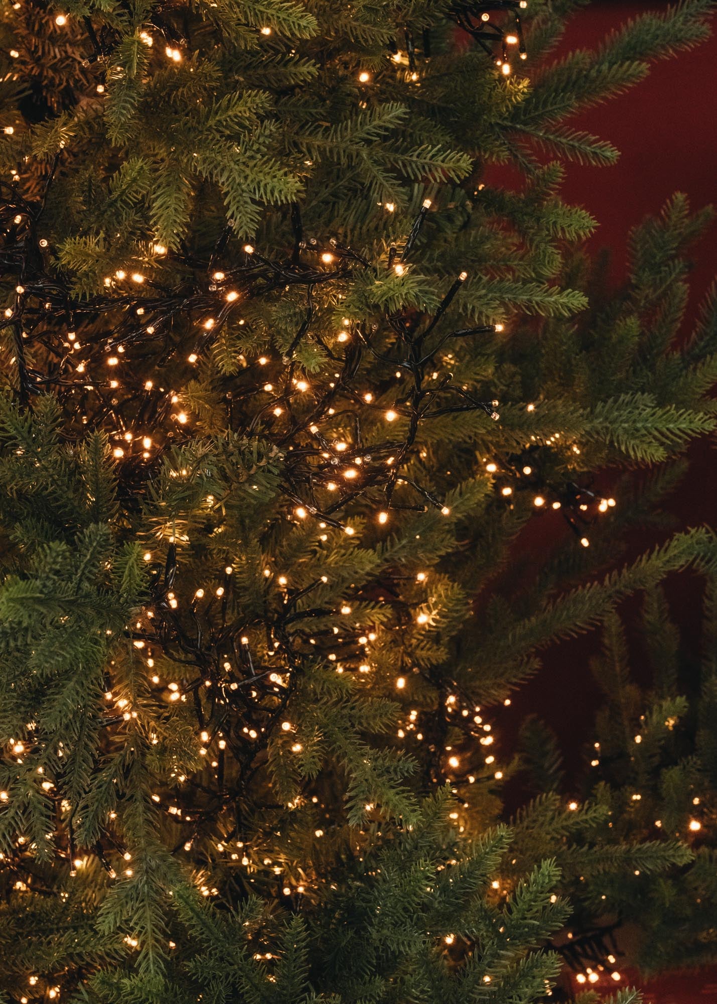 Amber Christmas Tree Lights Amber Marie Manor Added A New Photo.