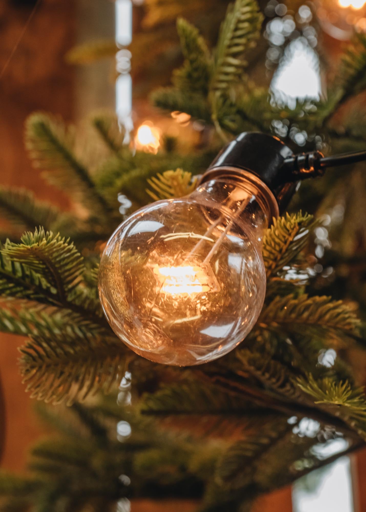 Konst Smide Indoor/Outdoor LED Festoon Lights | Burford Garden Co.