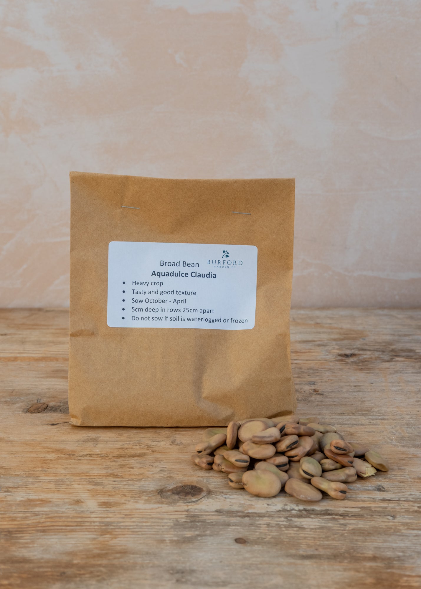 Broad Bean 'Aquadulce Claudia', 250g – Burford Garden Co.