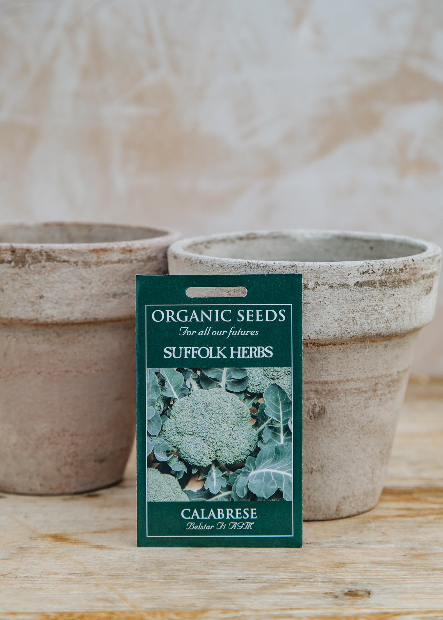 Calabrese ‘Belstar F1 AGM’ Seeds – Burford Garden Co.