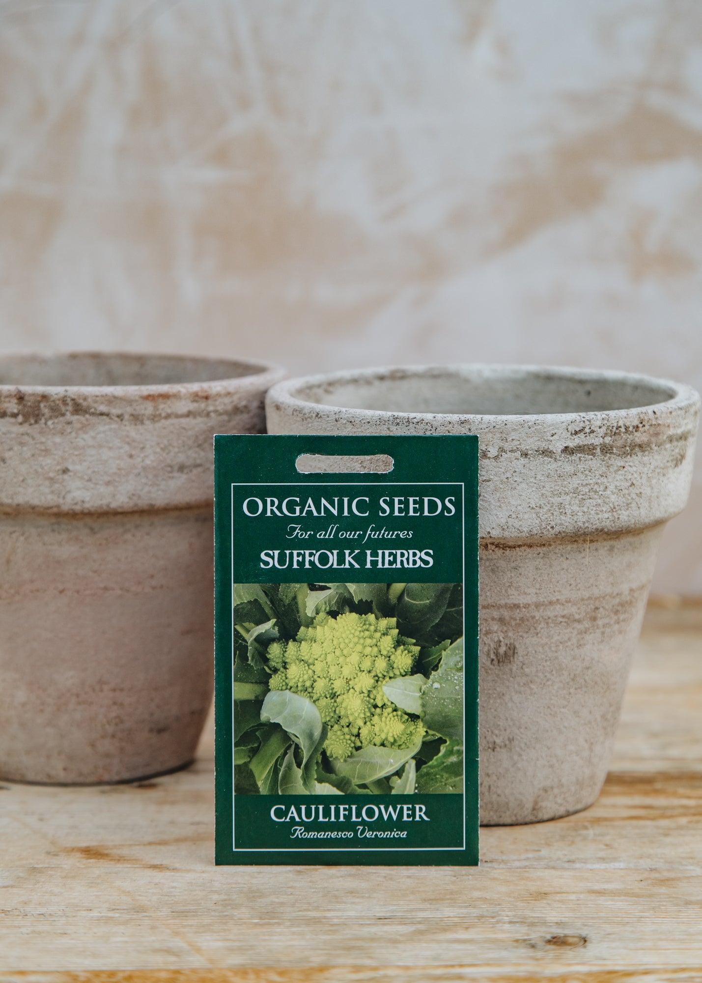 Cauliflower ‘Romanesco Veronica’ Seeds – Burford Garden Co.