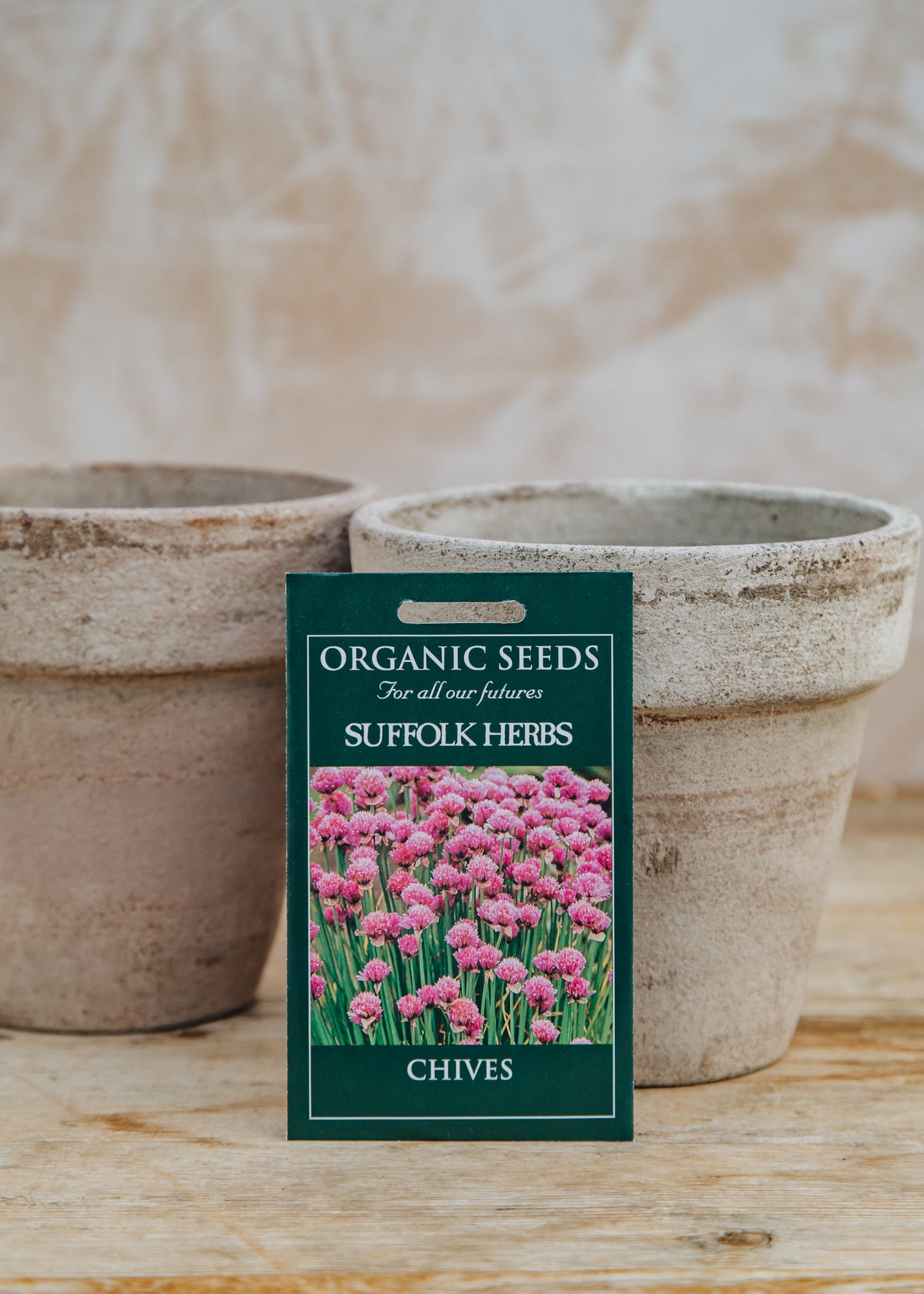 Chive Seeds – Burford Garden Co.