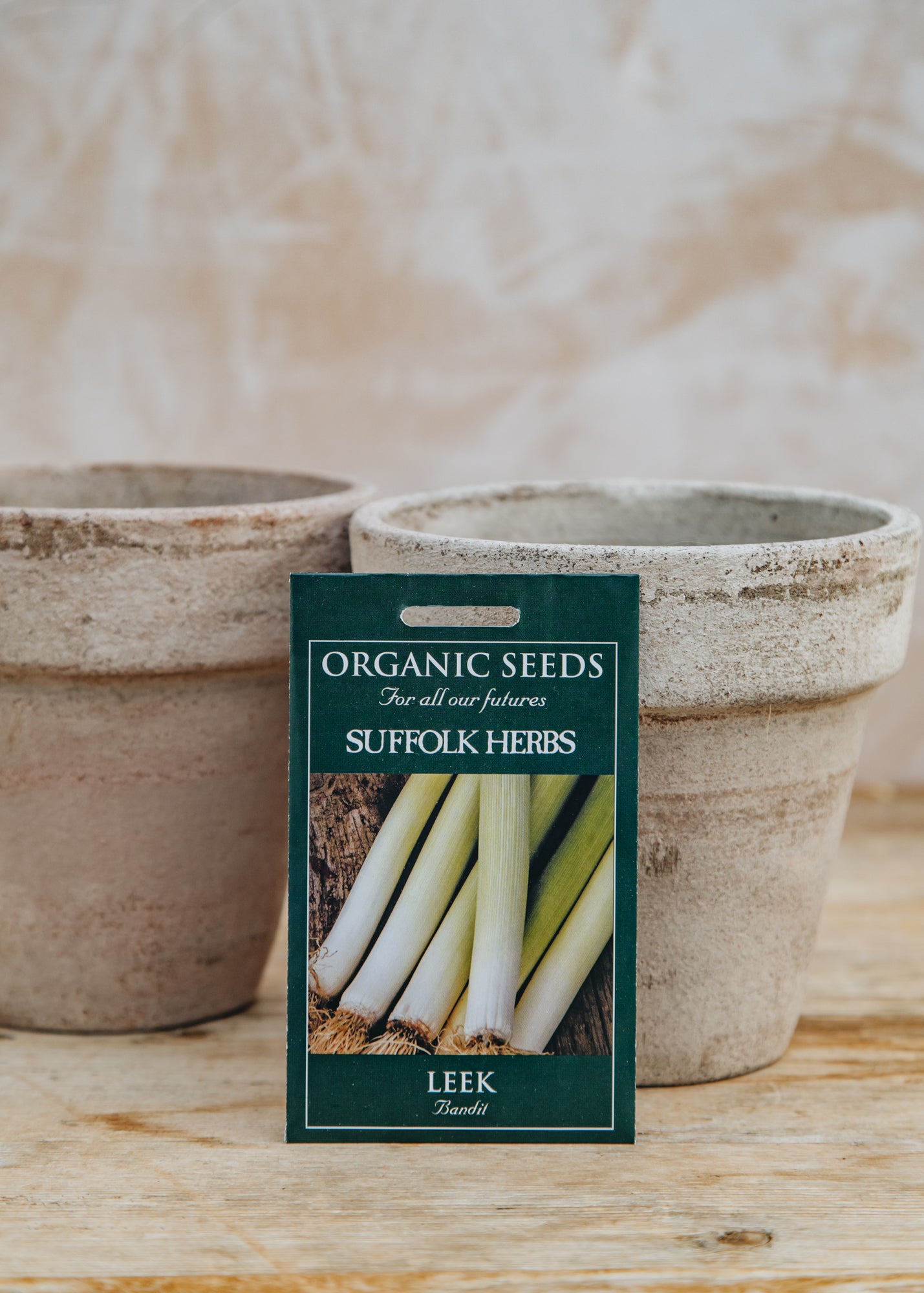 Suffolk Herbs Leek ‘Bandit’ Seeds – Burford Garden Co.