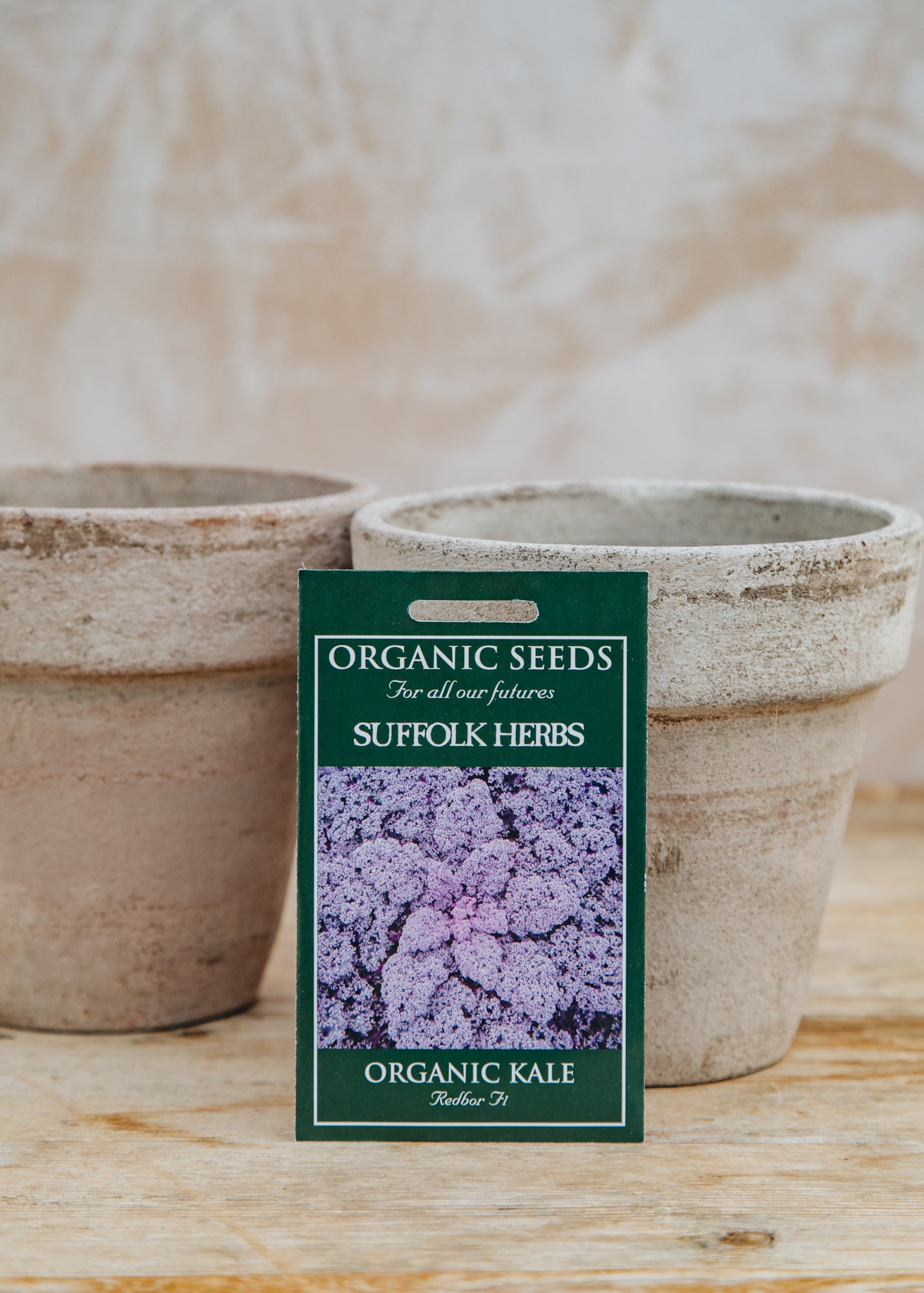 Suffolk Herbs Kale ‘Redbor F1’ Seeds – Burford Garden Co.