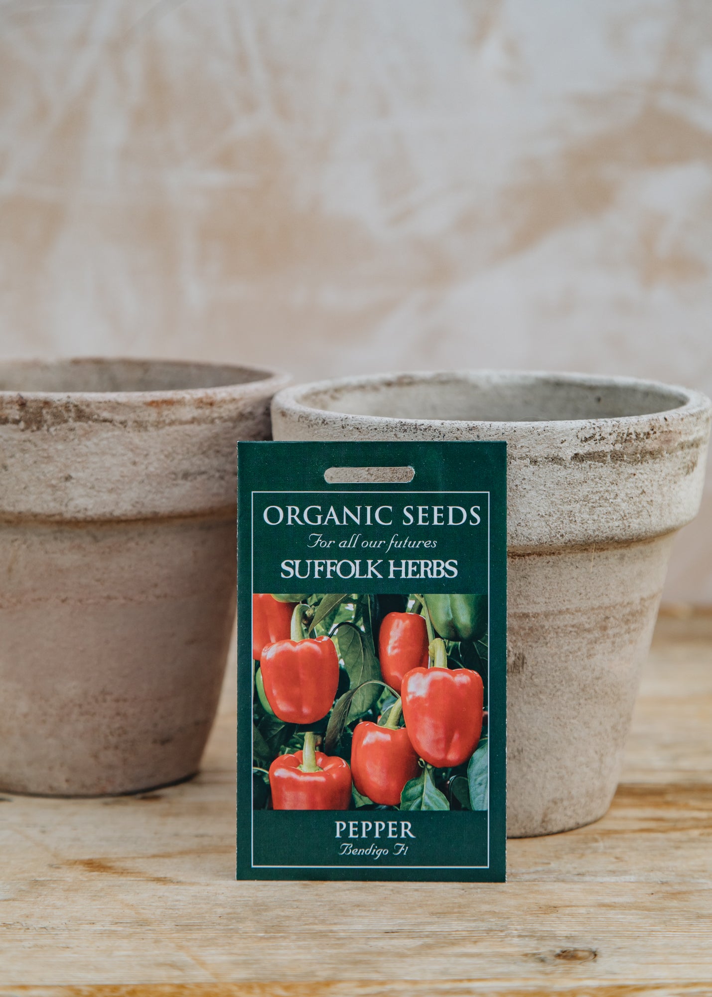 Pepper ‘Bendigo F1’ Seeds – Burford Garden Co.