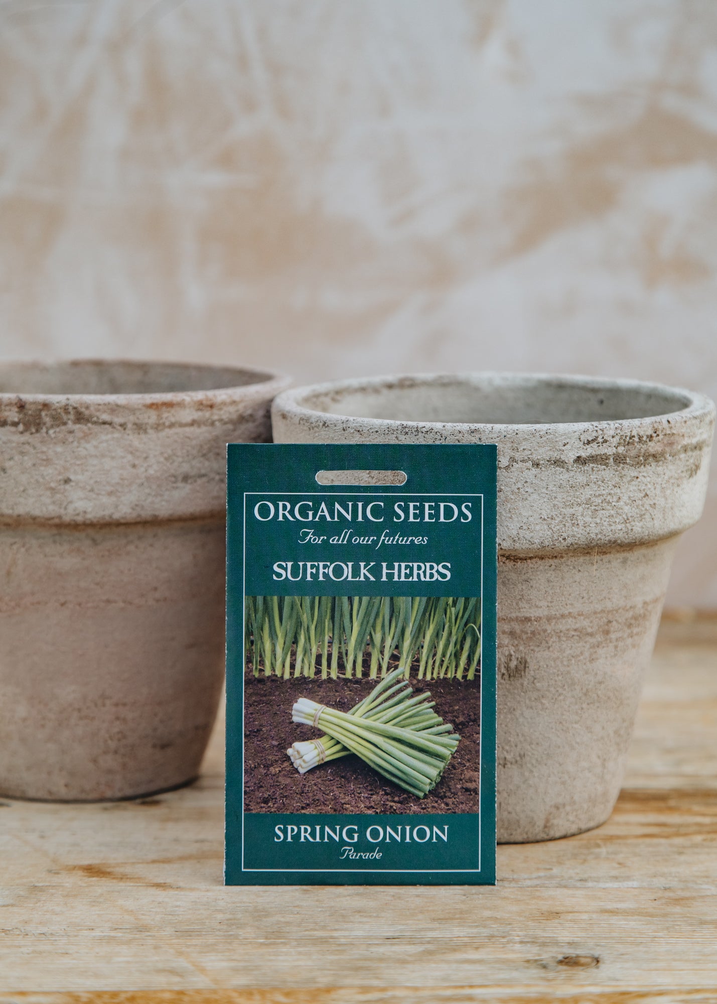 Spring Onion ‘Parade’ Seeds – Burford Garden Co.