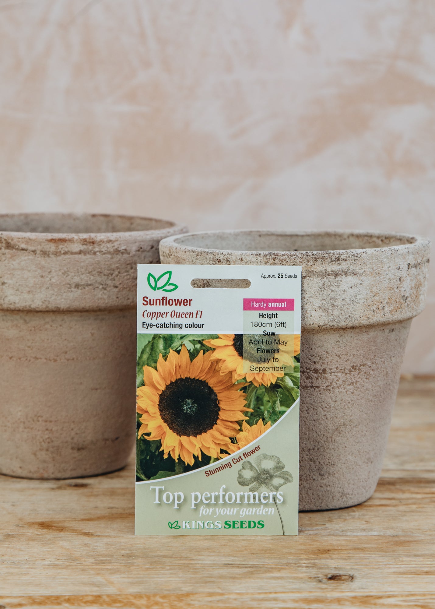 Kings Seeds Sunflower 'Copper Queen' Seeds – Burford Garden Co.