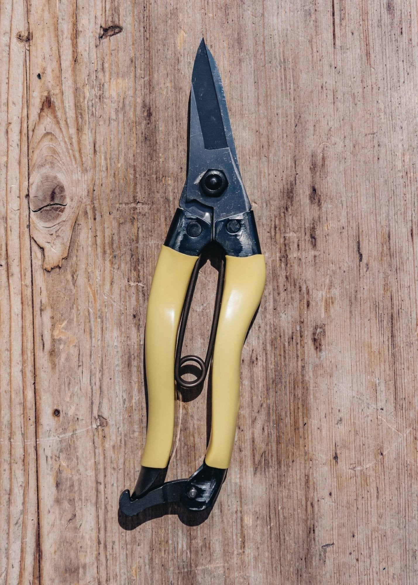 Niwaki Mainichi Snips | Burford Garden Co.