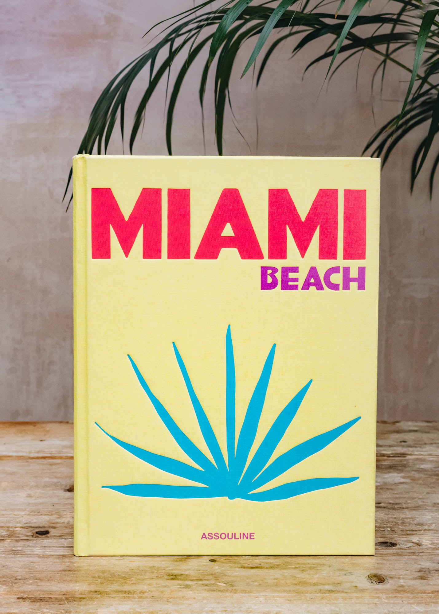 Assouline Miami Beach by Horacio Silva | Burford Garden Co.