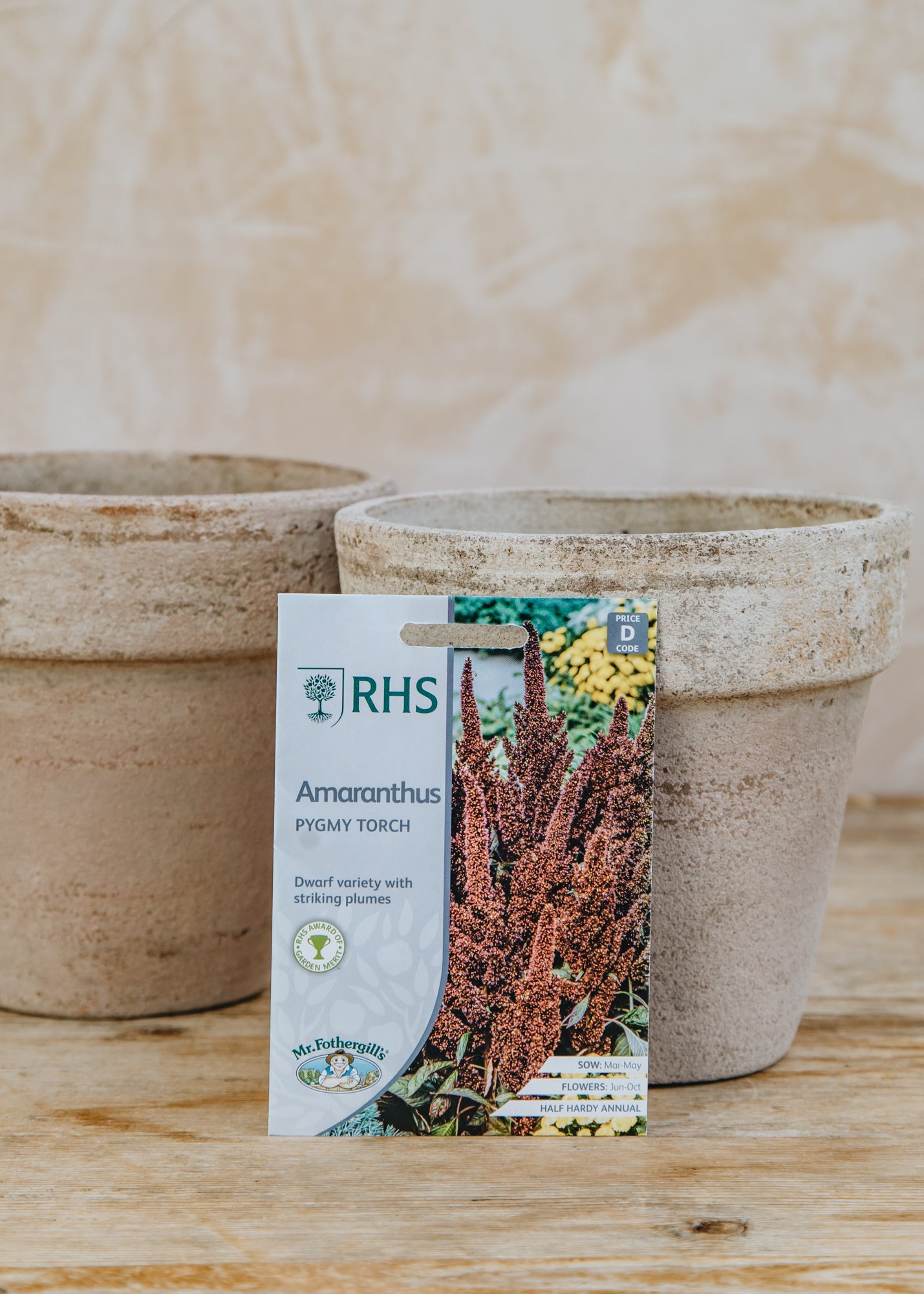 Amaranthus 'Pygmy Torch' Seeds – Burford Garden Co.