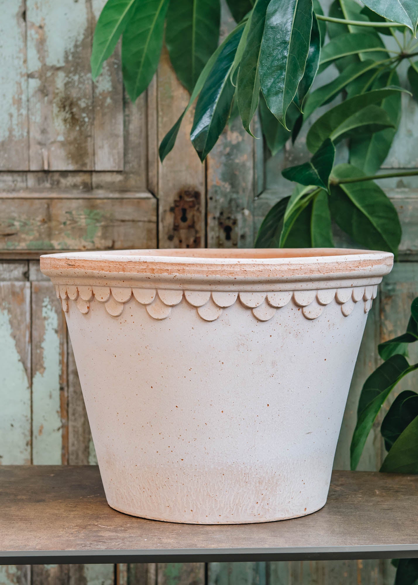 Bergs Potter Rosa Copenhagen Pot 35cm | Burford Garden Co.