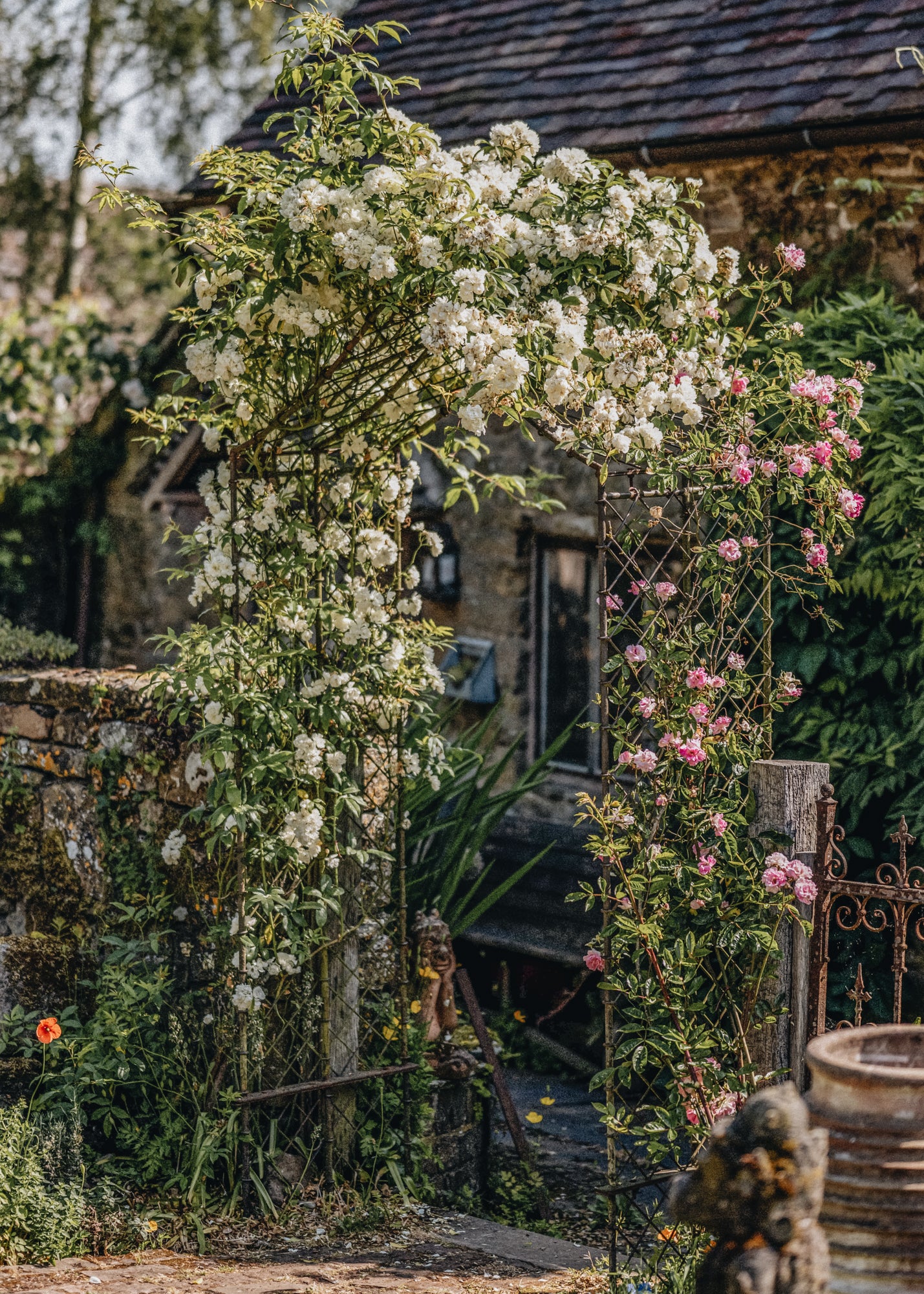 Rustic Rose Arch | Screens & Supports | Burford Garden Co.