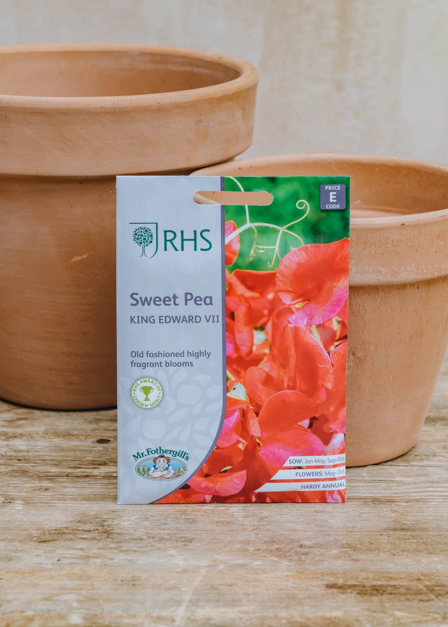 Sweet Pea King Edward VII Seeds | Burford Garden Co.