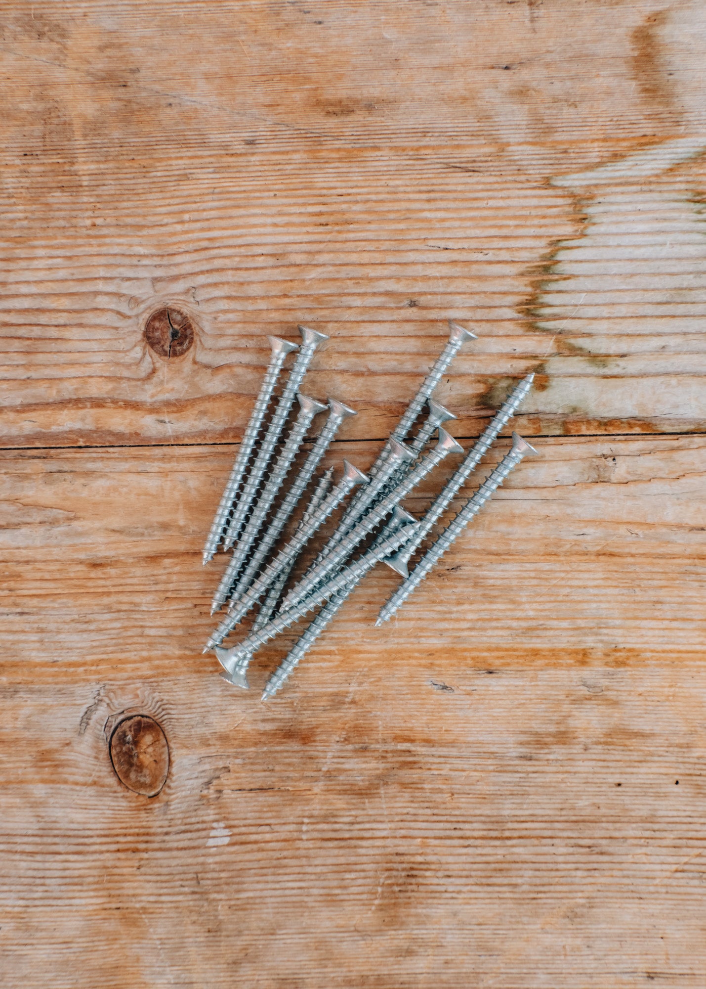 Wood Screws, 65mm – Burford Garden Co.