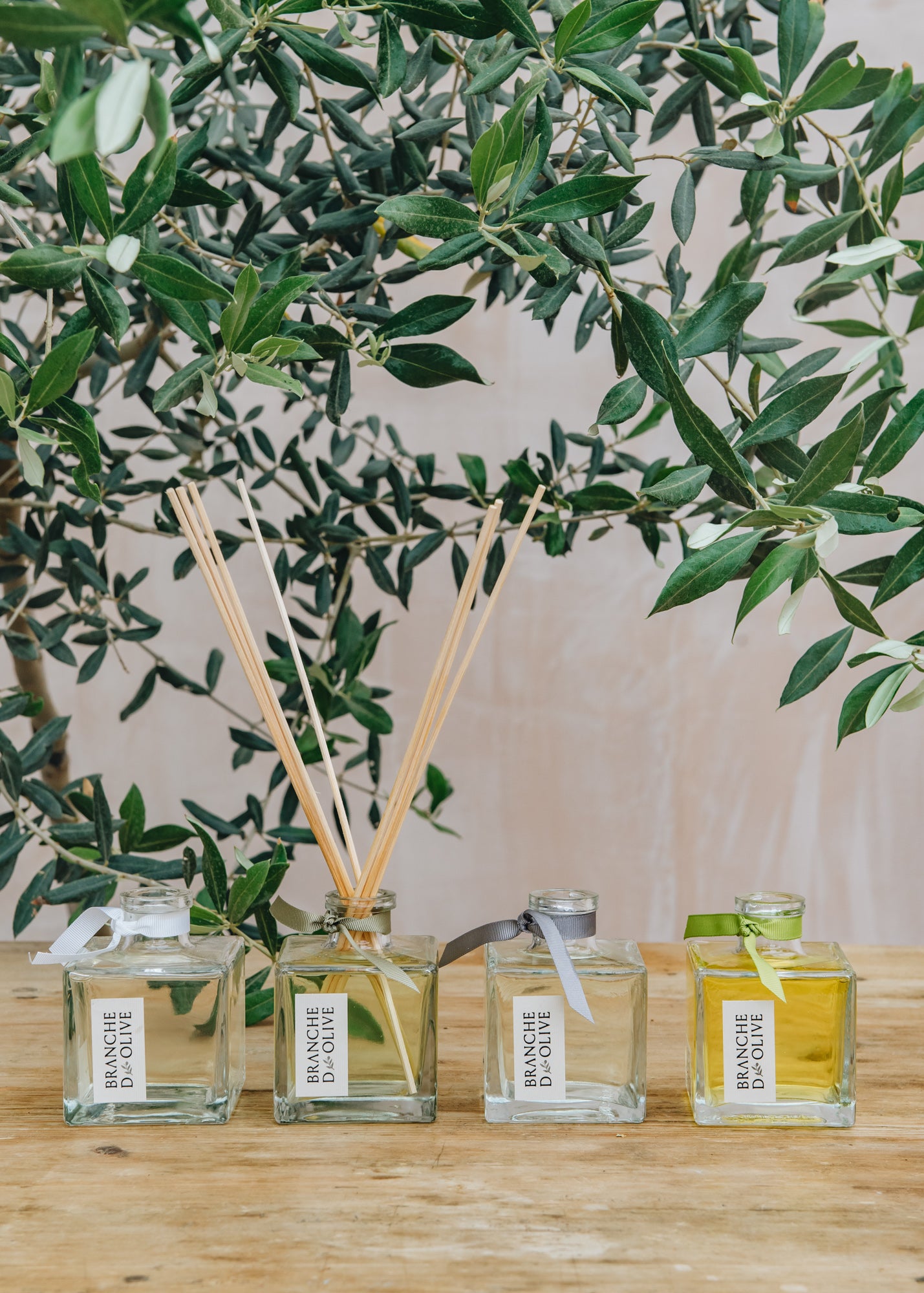 Branche D'Olive Diffusers 200ml | Home Fragrance | Burford Garden Co.