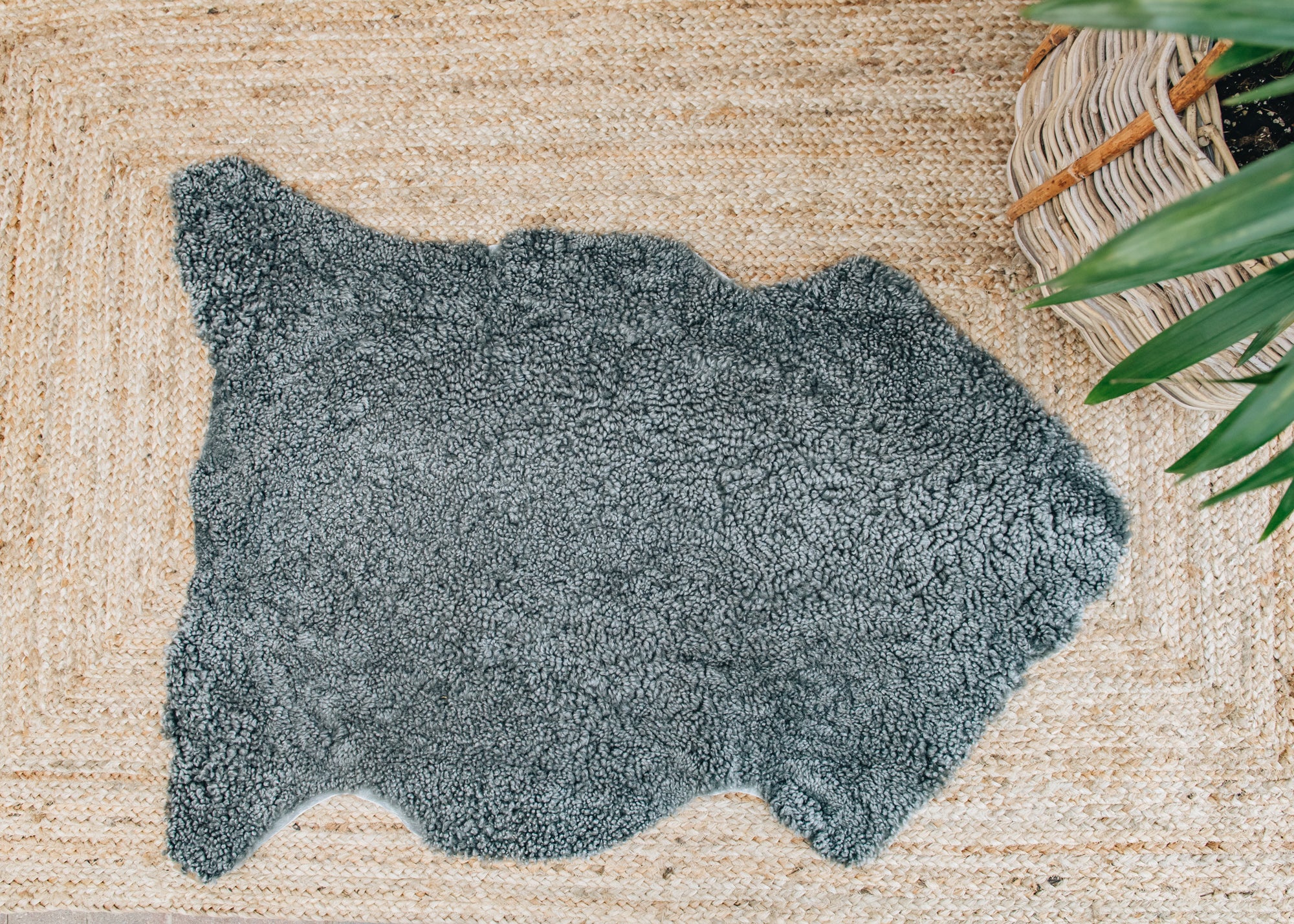 Shepherd of Sweden Grey Ella Short Haired Sheepskin Rug | Burford ...