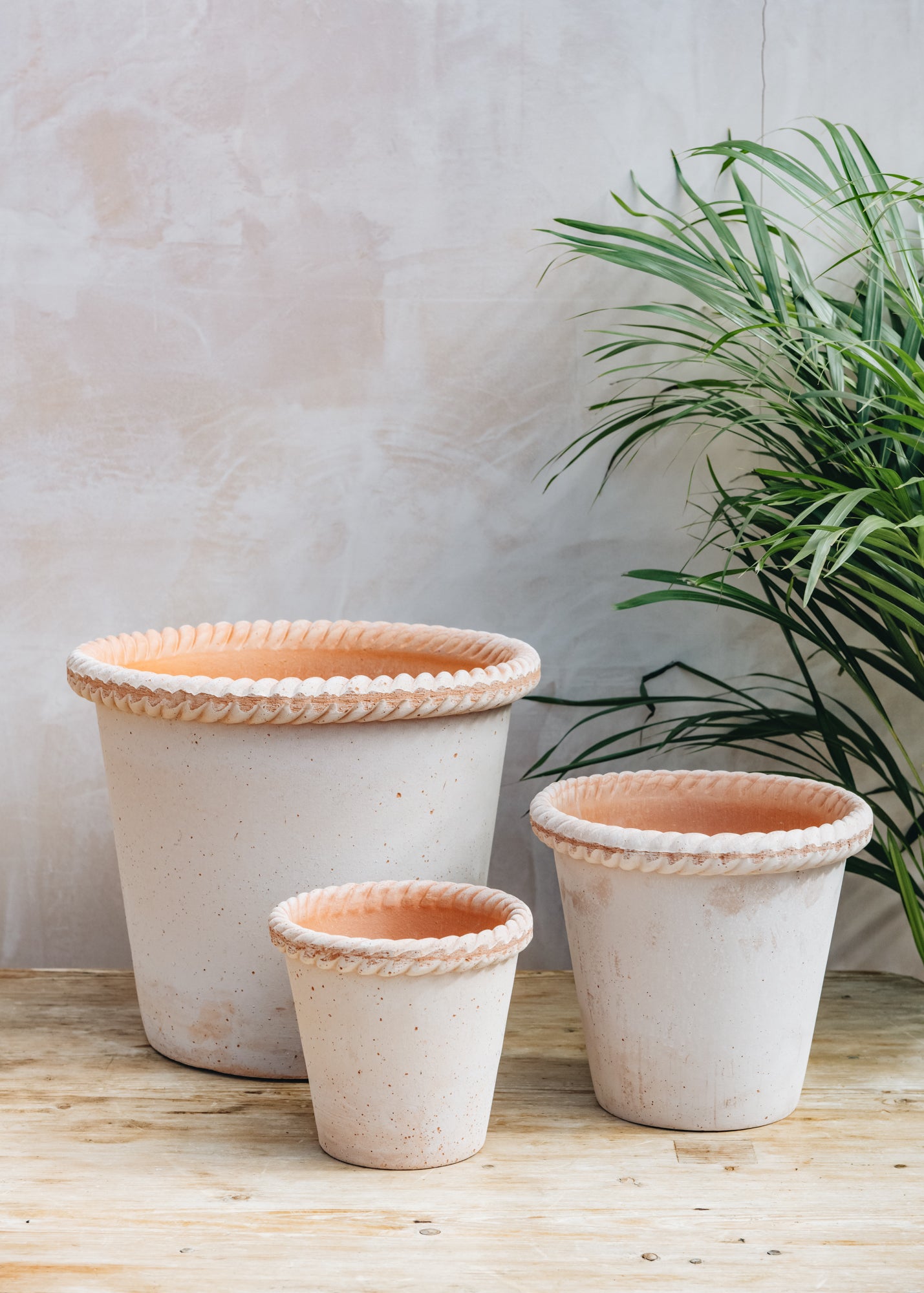 Bergs Potter Emilia Rosa Pots | Burford Garden Co.