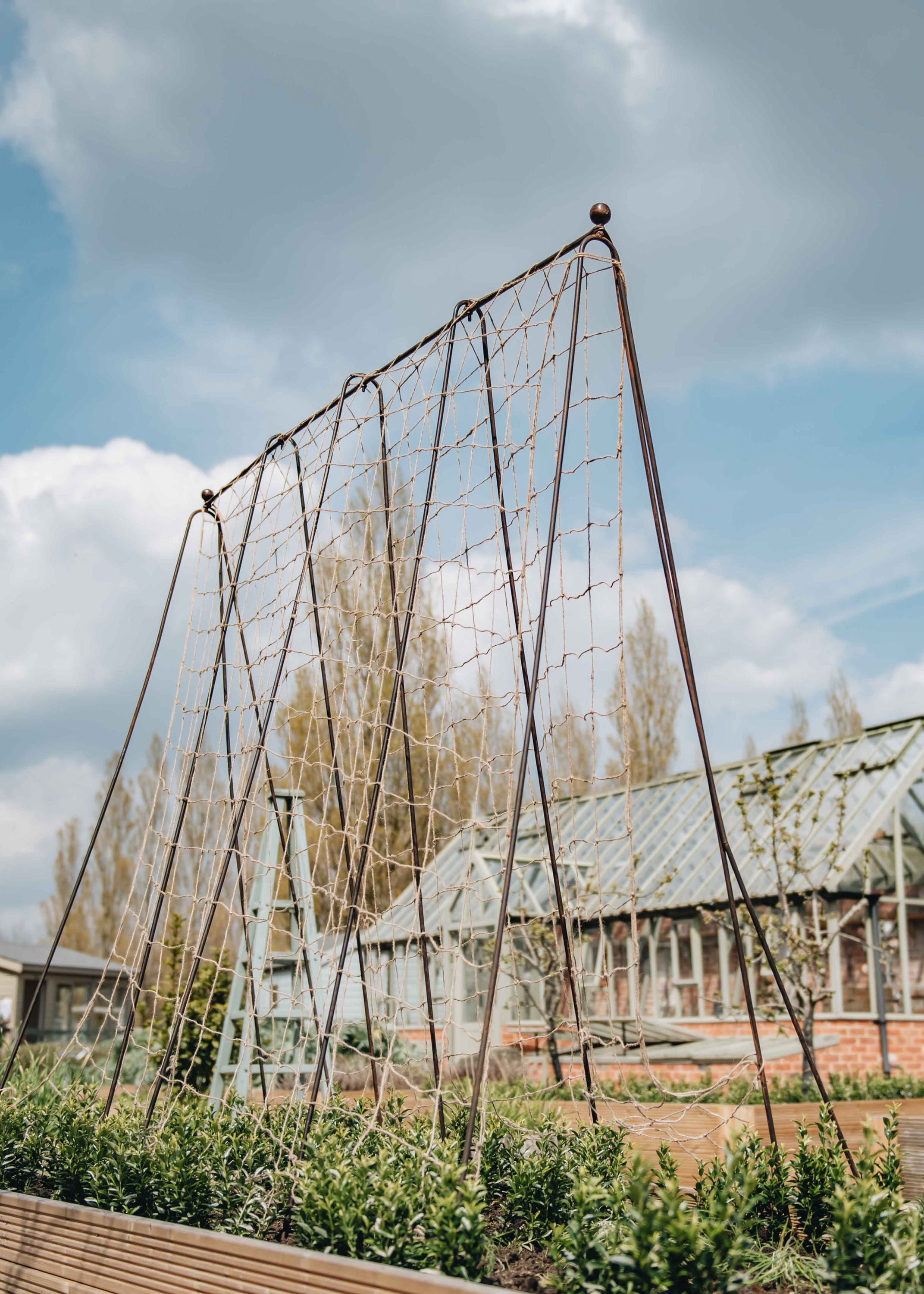 Runner Bean Frame | Garden Tools | Burford Garden Co.
