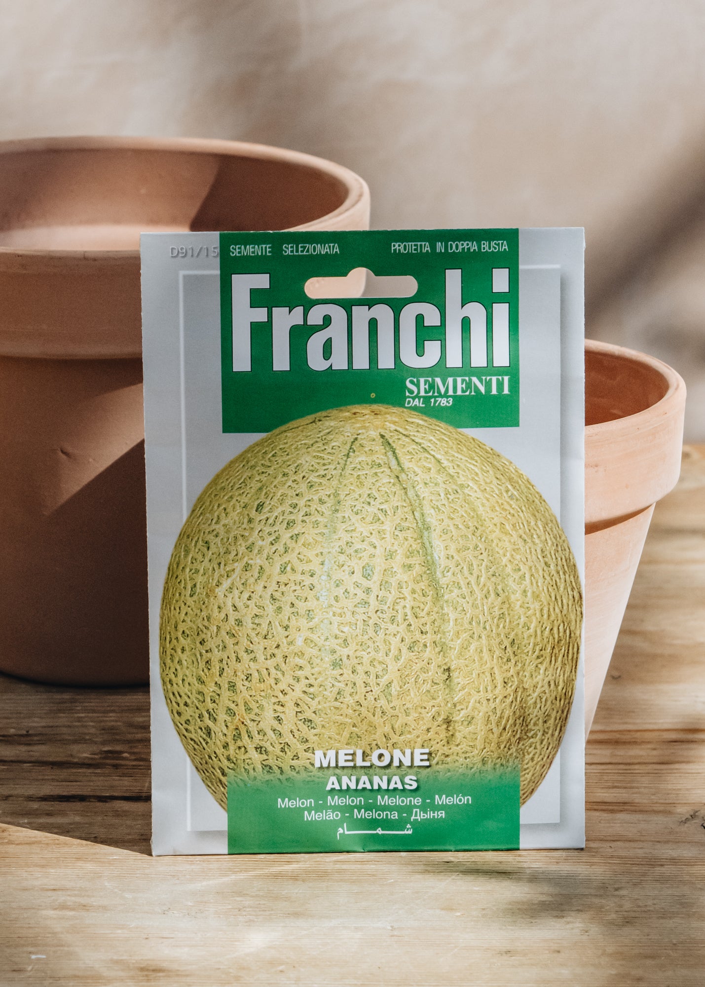 Franchi Melon 'Ananas' Seeds | Burford Garden Co.