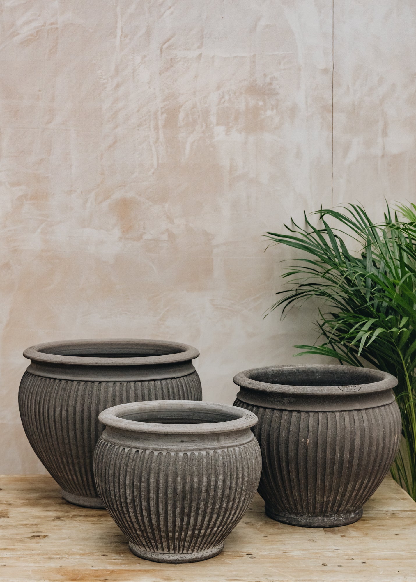 Piccolina Grey Pot – Burford Garden Co.