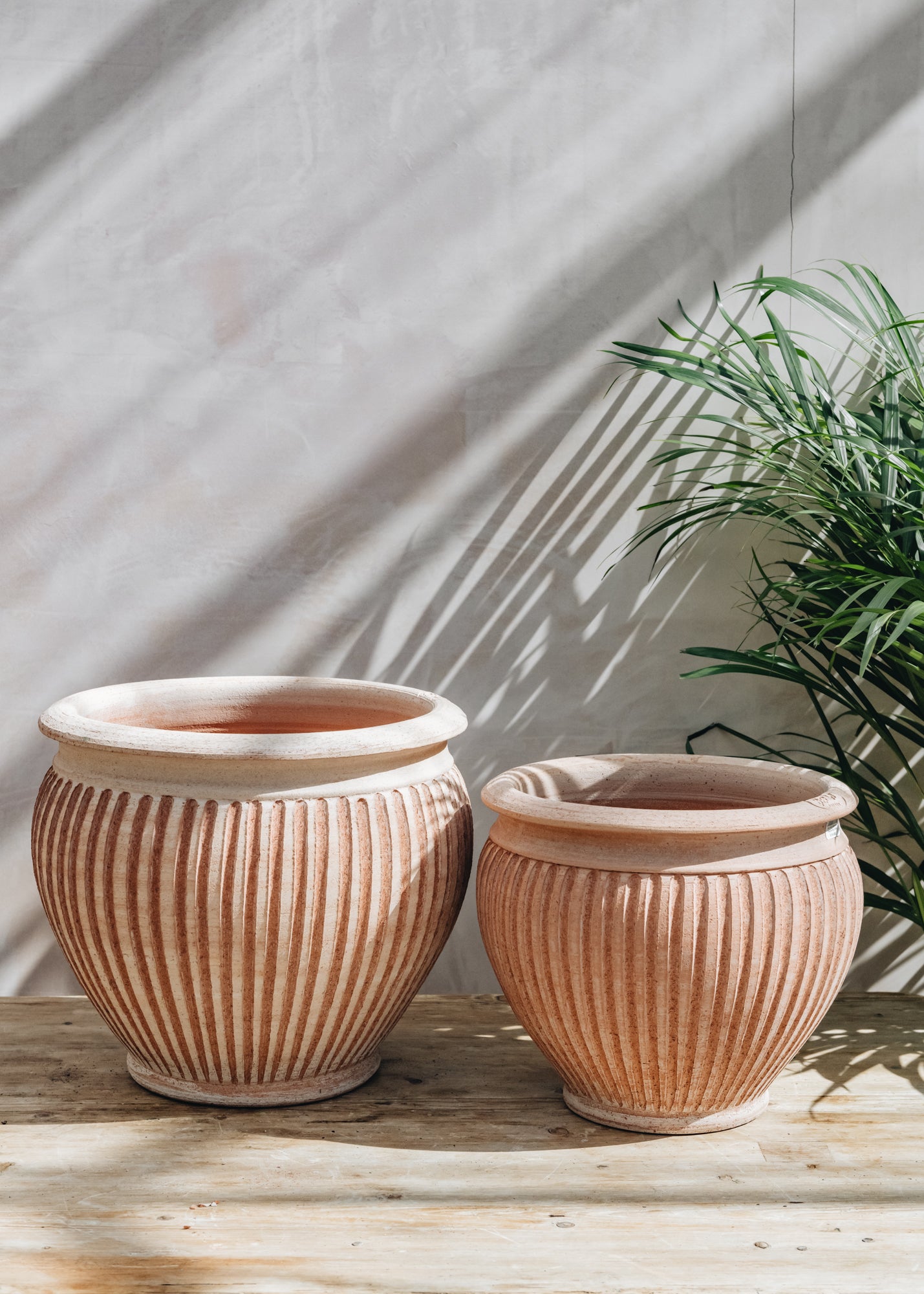 Bergs Potter Piccolina Rosa Pot | Burford Garden Co.