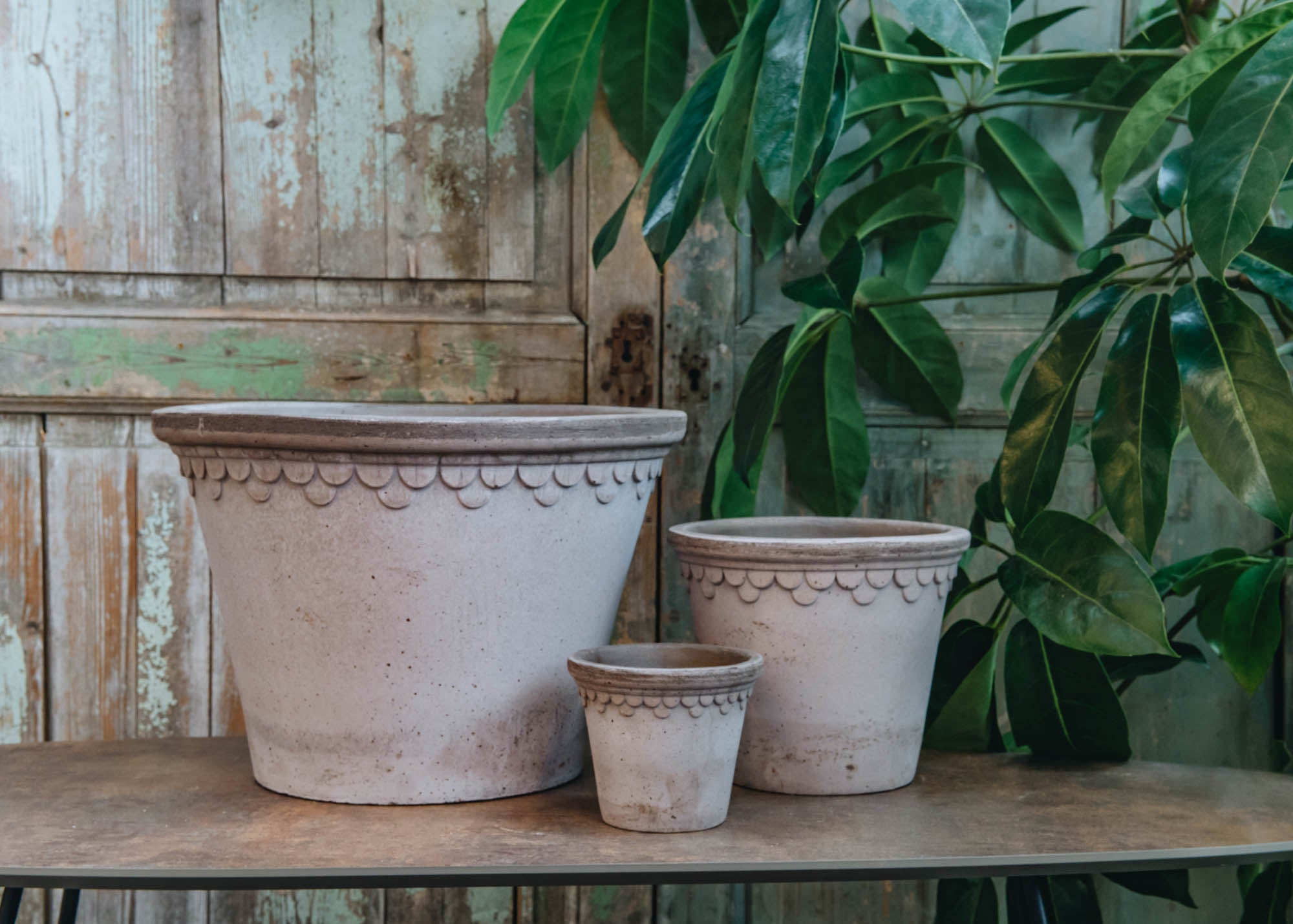 Buy Grey Copenhagen Pots | Pots & Planters | Burford Garden Co.